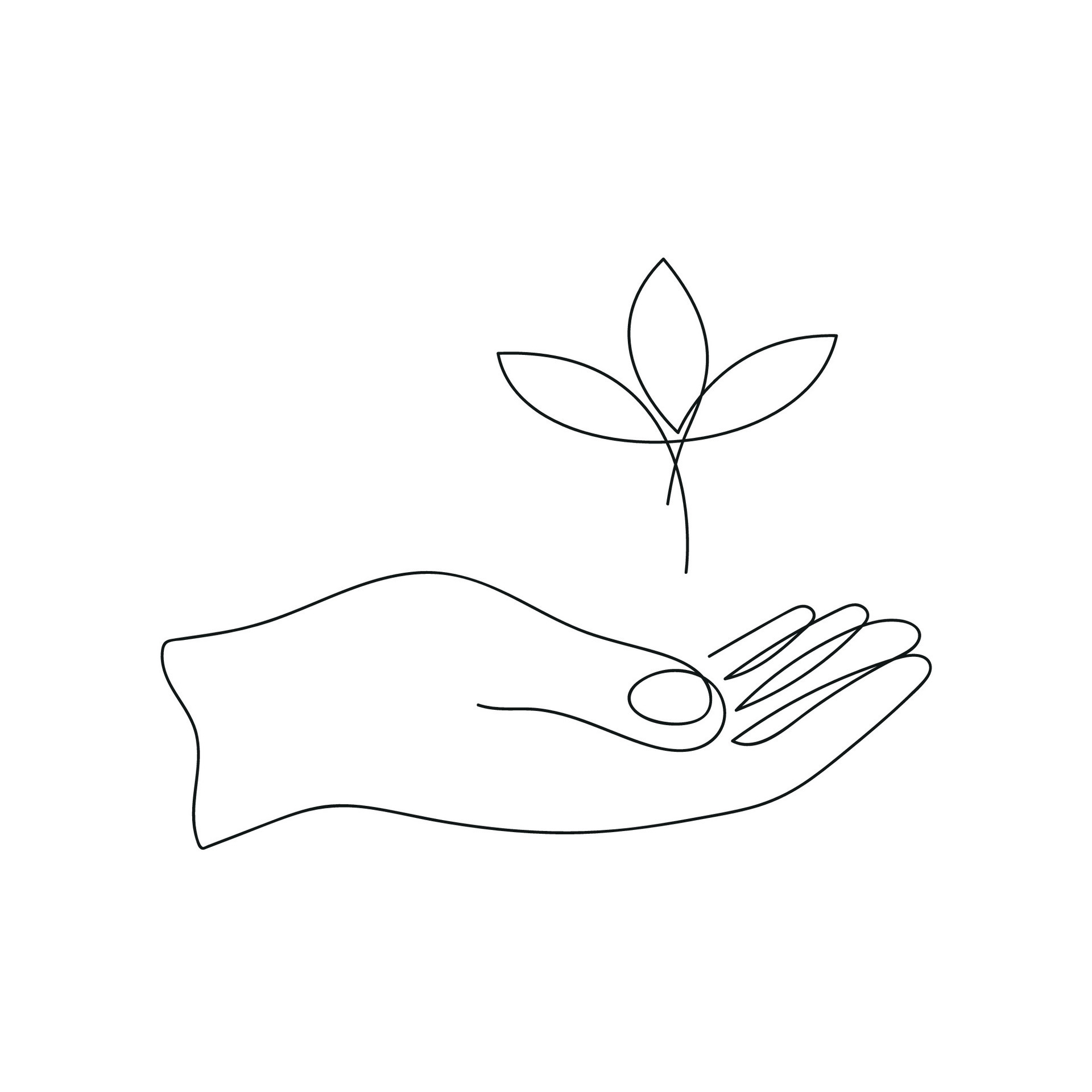 Sprout in hand drawn in one continuous line. One line drawing, minimalism. Vector illustration ...