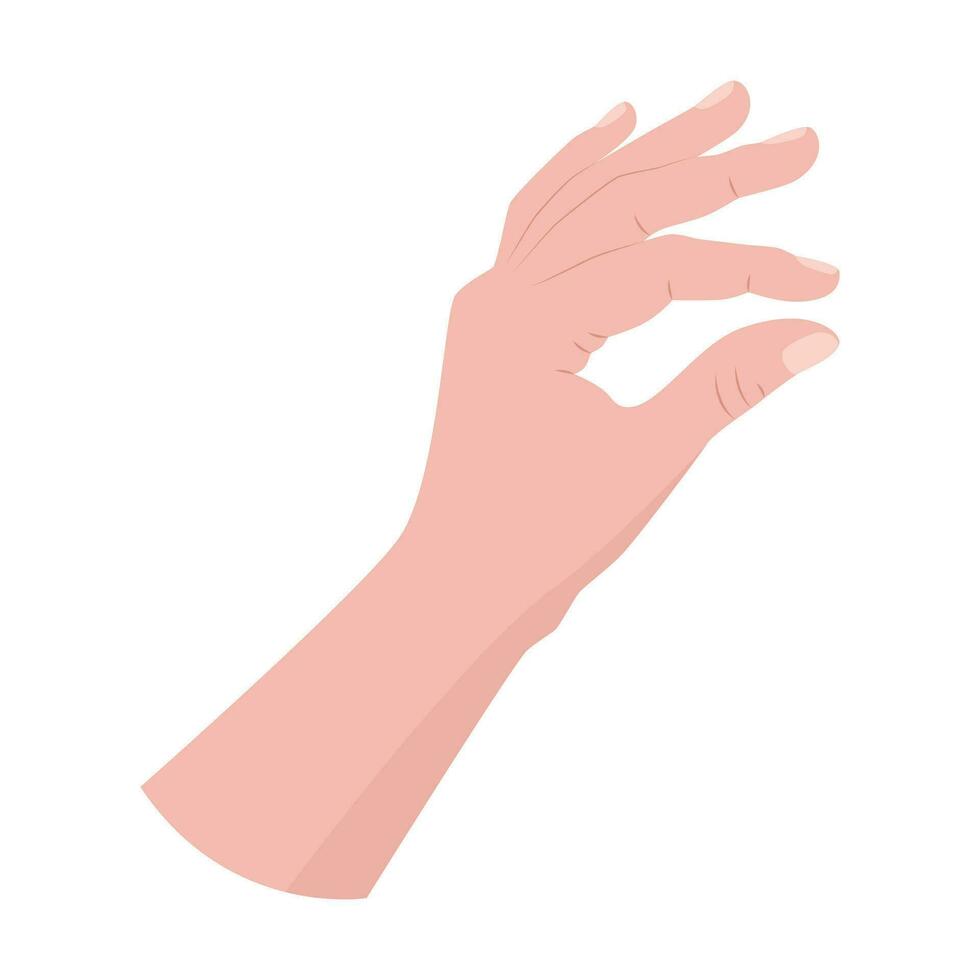 Finger gesture meaning a little bit. Hand vector illustration isolated on white background ...