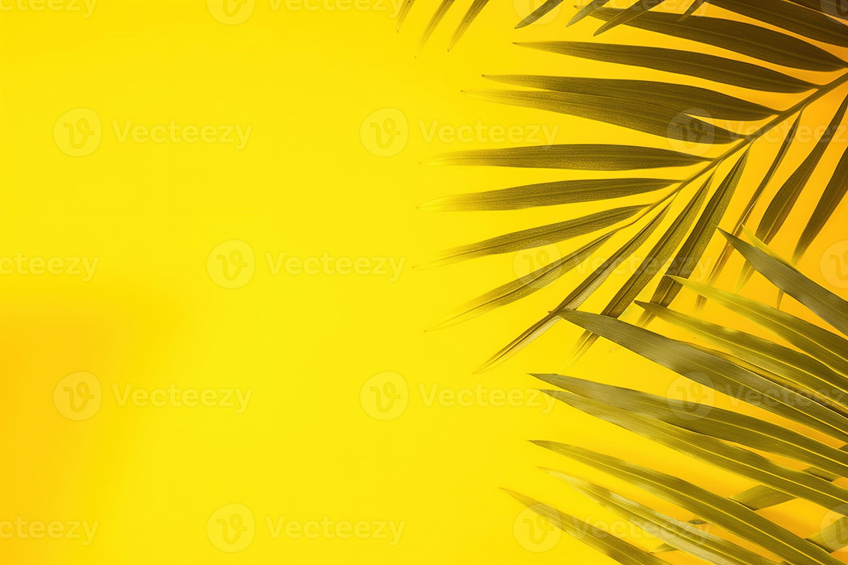 Palm leaves background. Yellow summer palm leaves shadow background ... Palm leaves background. Yellow summer palm leaves shadow background ...