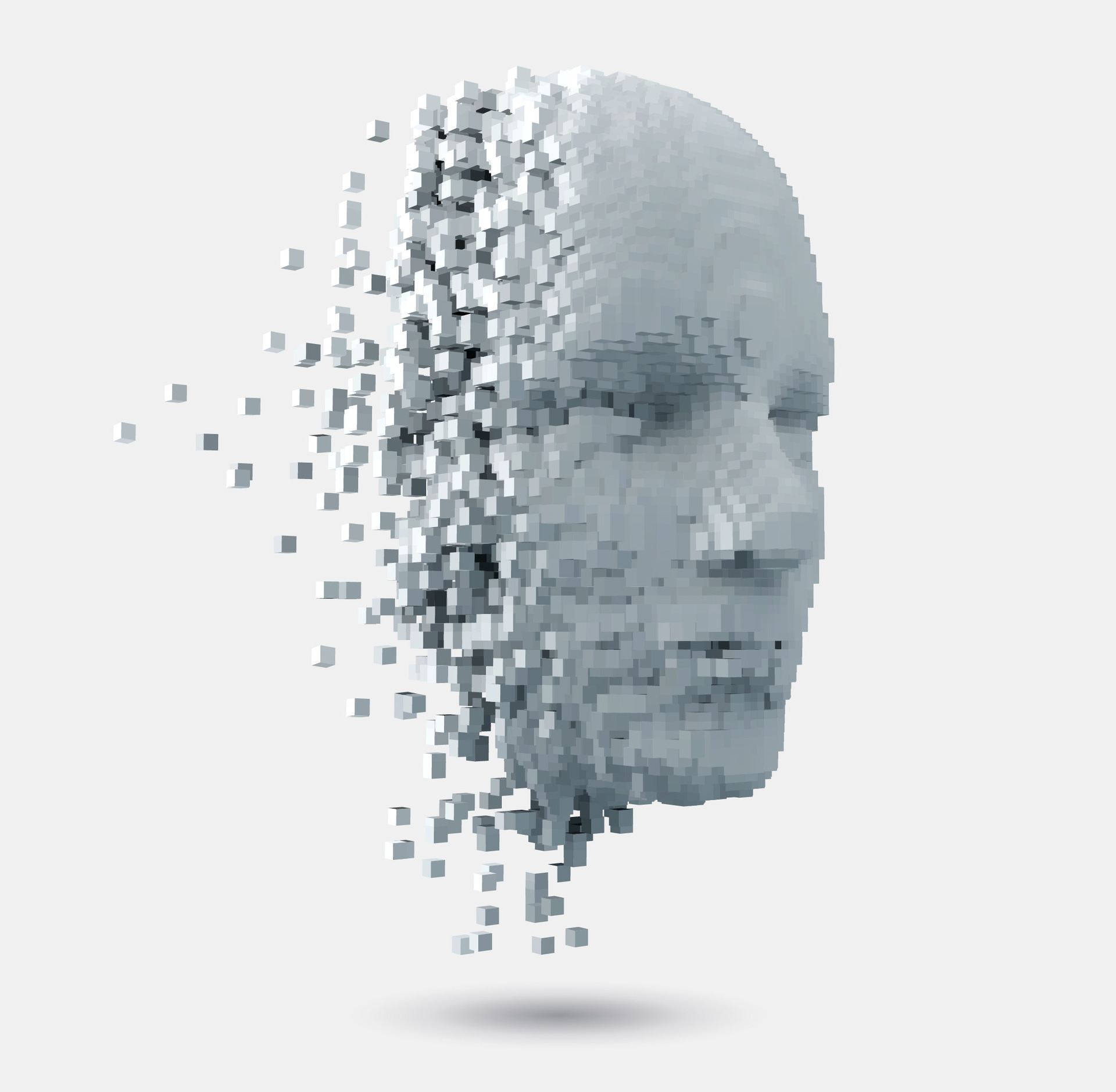 Human Head 3d Vector