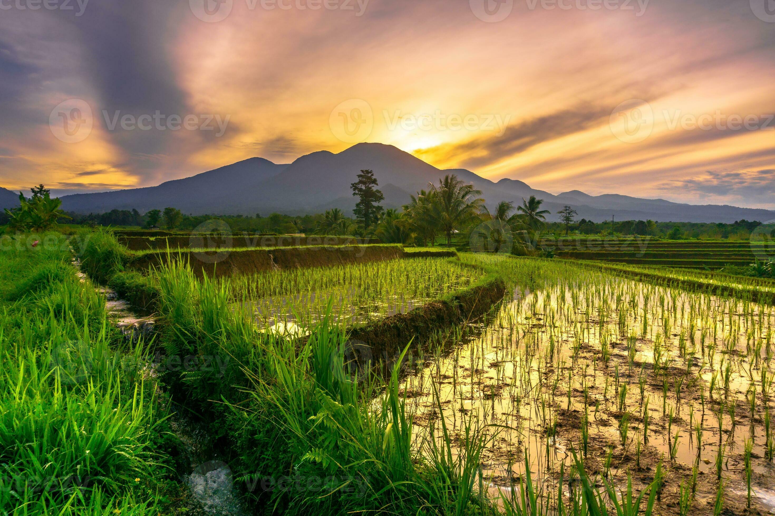 Beautiful morning view indonesia Panorama Landscape paddy fields with beauty color and sky ...