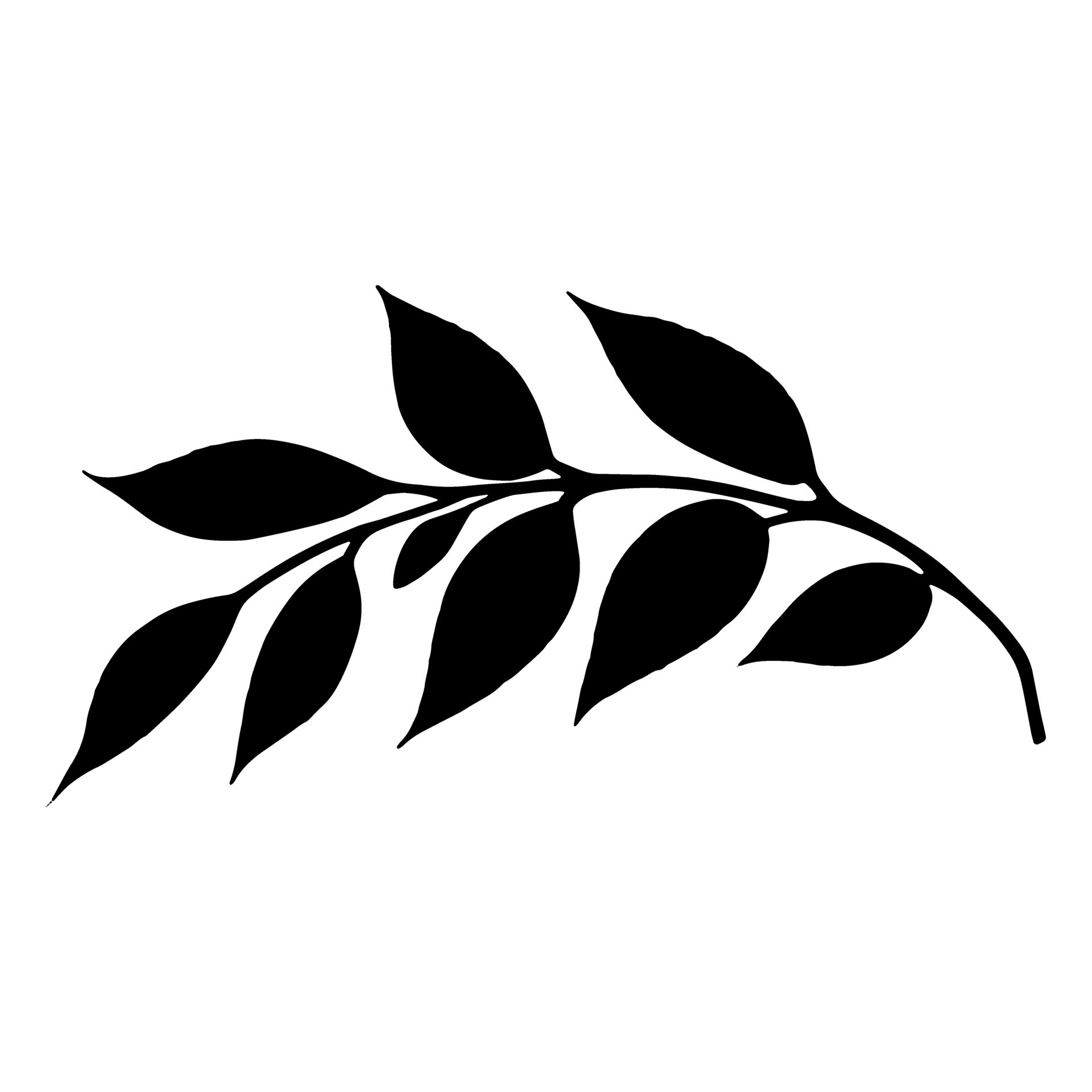 Branch with leaves and stem silhouette. Vector illustration 26367857 ... Branch with leaves and stem silhouette. Vector illustration 26367857 ...