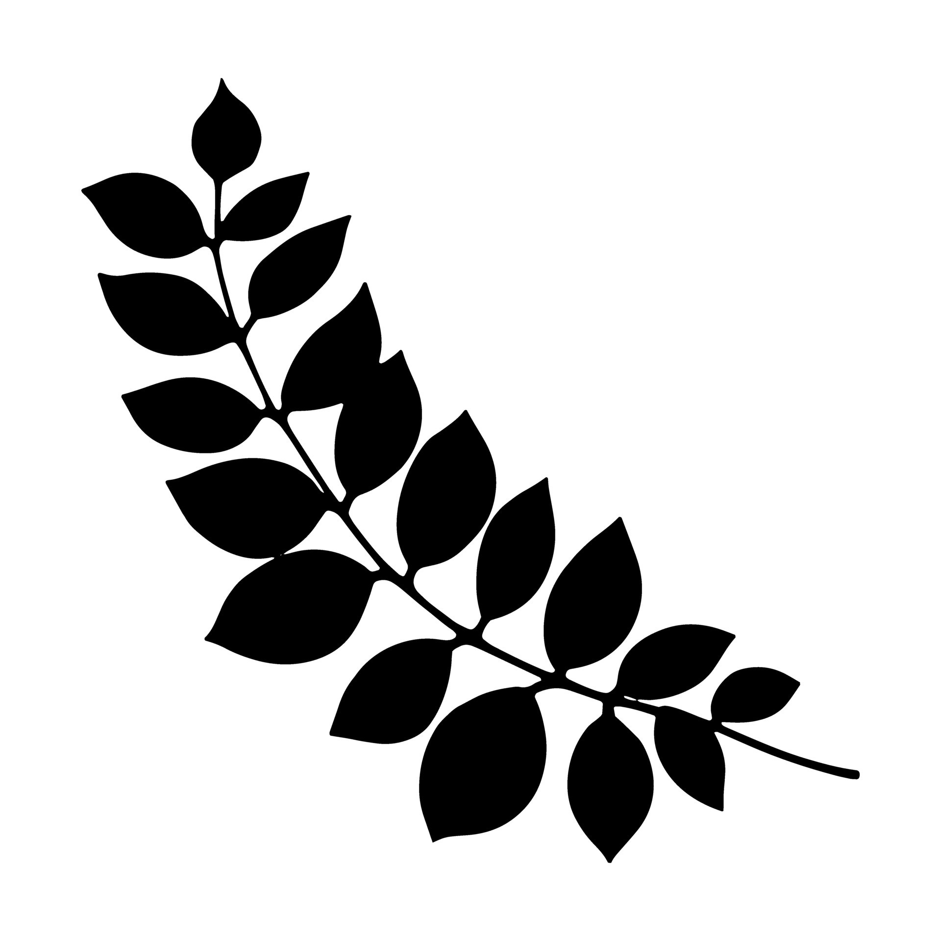 Branch with leaves and stem silhouette. Vector illustration 26367858 ... Branch with leaves and stem silhouette. Vector illustration 26367858 ...