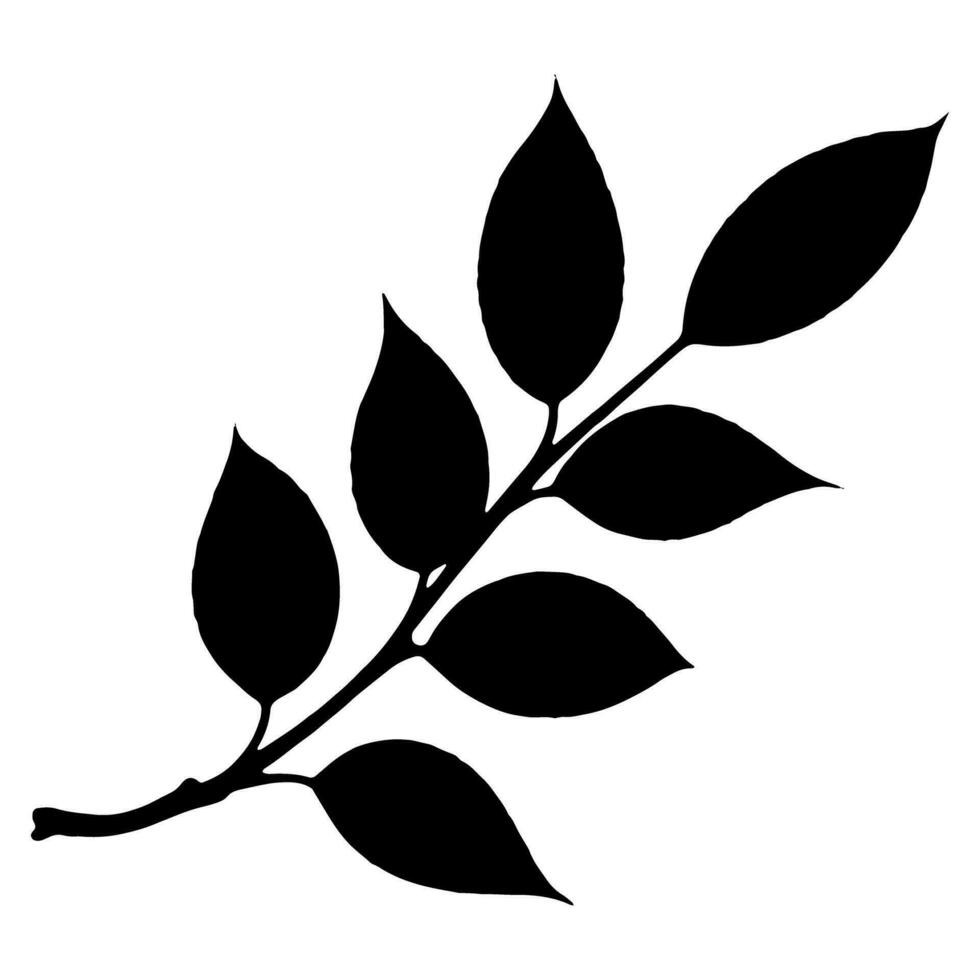 Branch with leaves and stem silhouette. Vector illustration 26367862 ... Branch with leaves and stem silhouette. Vector illustration 26367862 ...