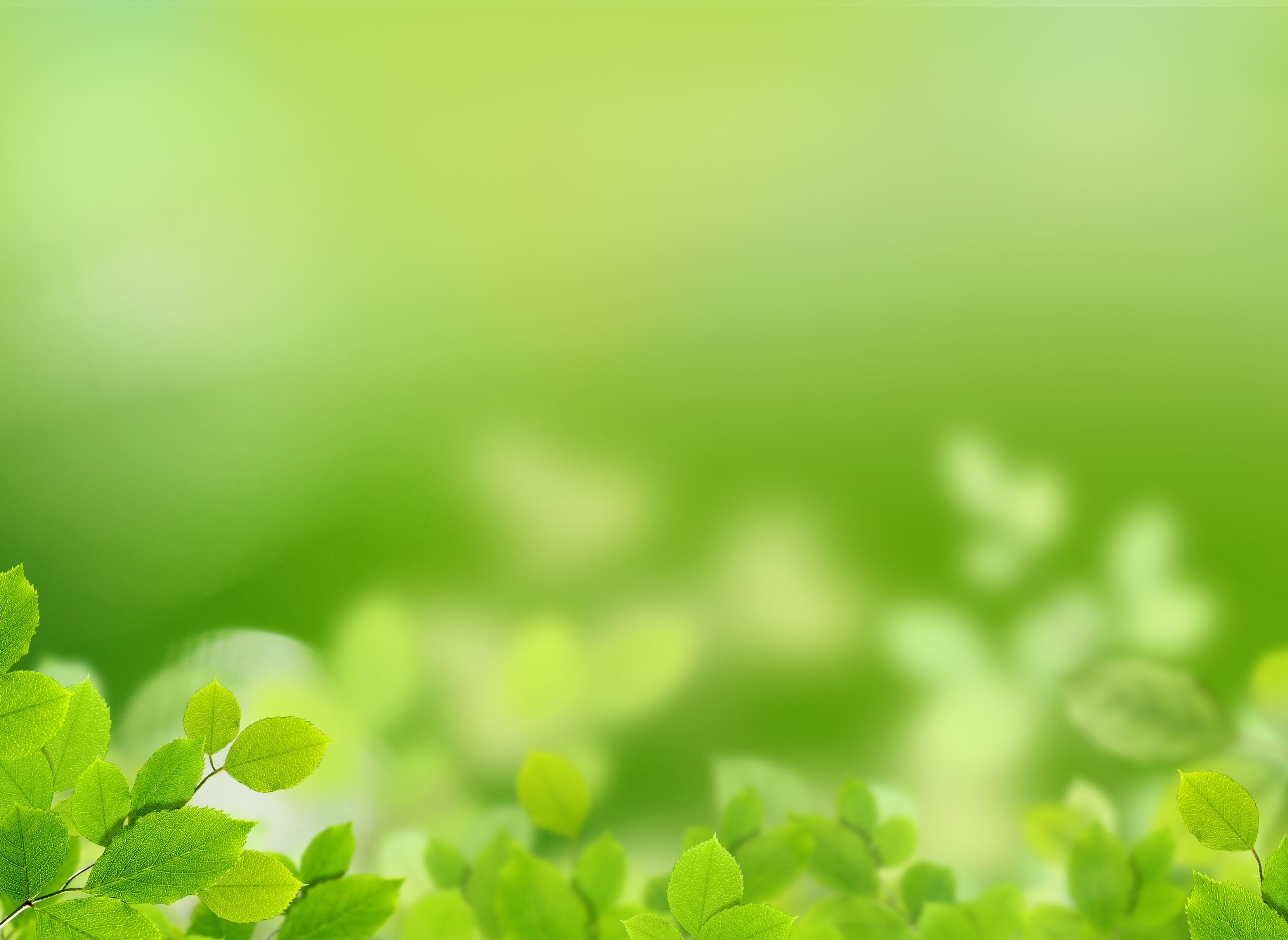 Green Theme Stock Photos, Images and Backgrounds for Free Download