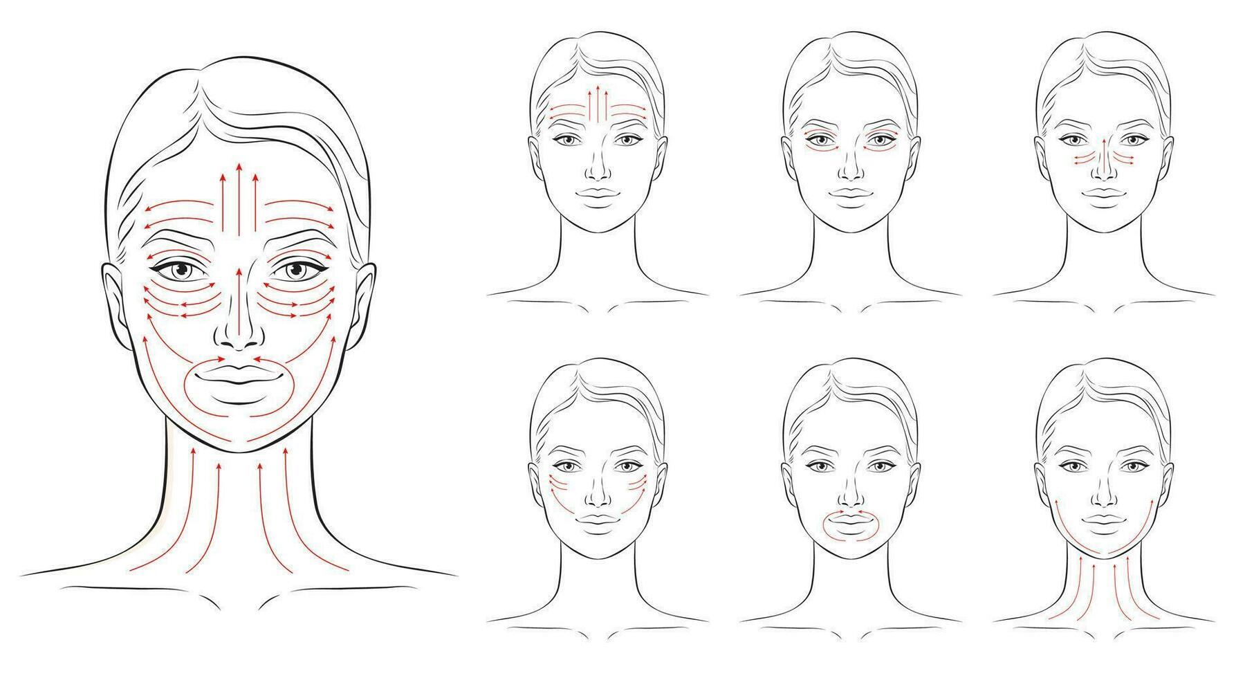 Face Massage Lines Facial Massage Instructions Vector Illustration
