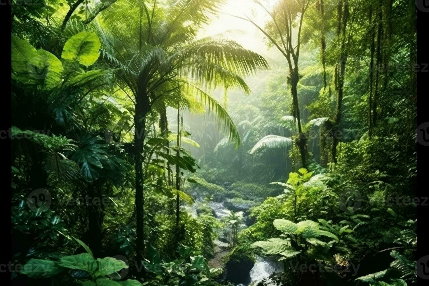 Dense and vibrant forest with towering trees and lush green foliage ...