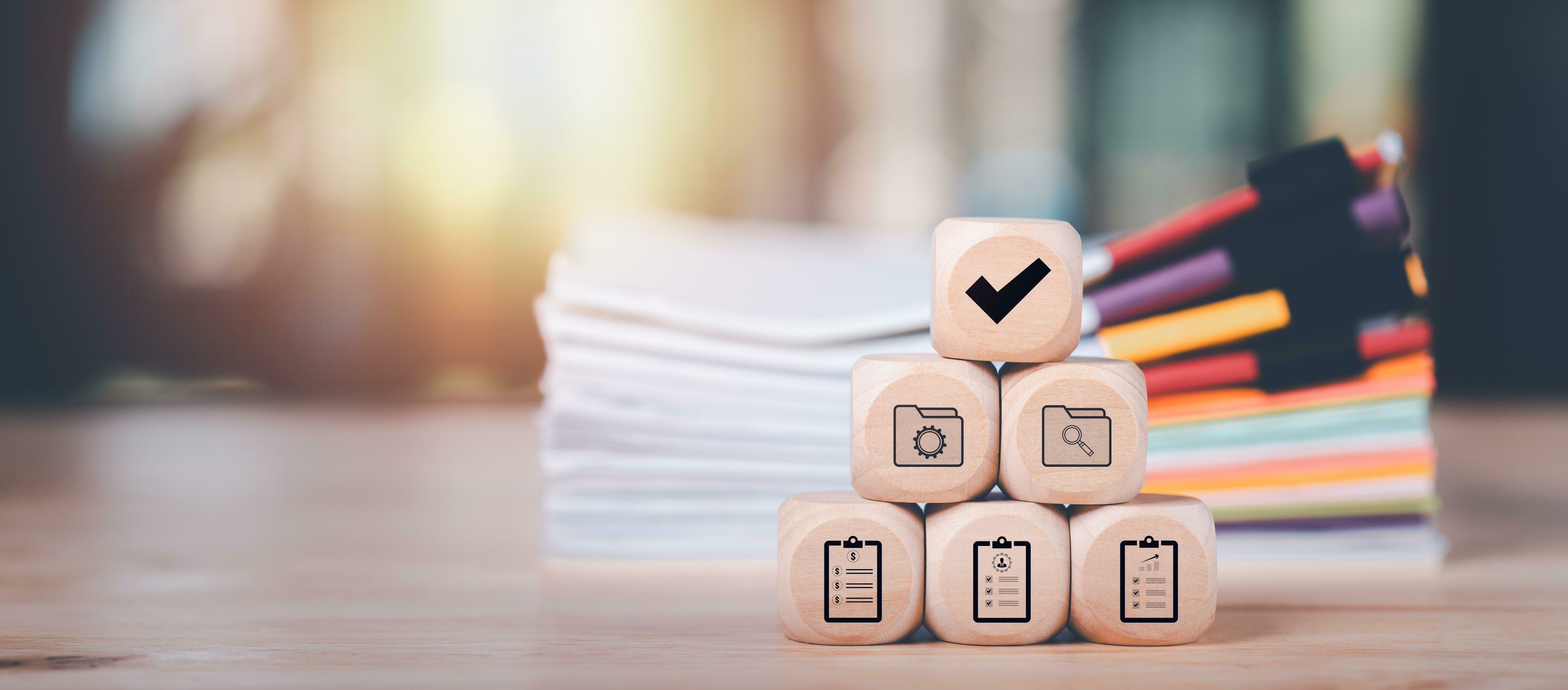 concept of auditing and evaluating quality and efficiency of personnel ...