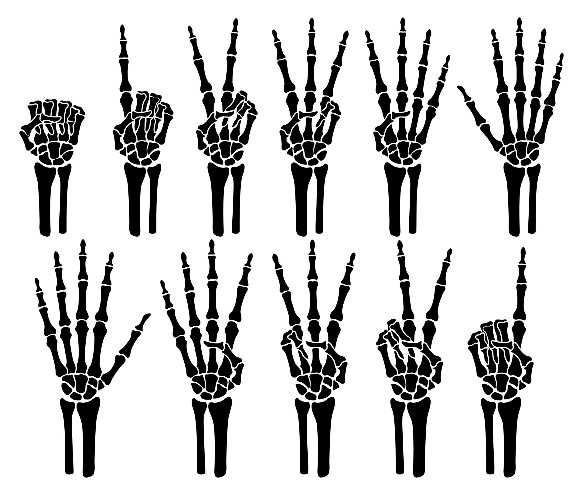 Skeleton bone hand counting number of fingers sign illustrations ...