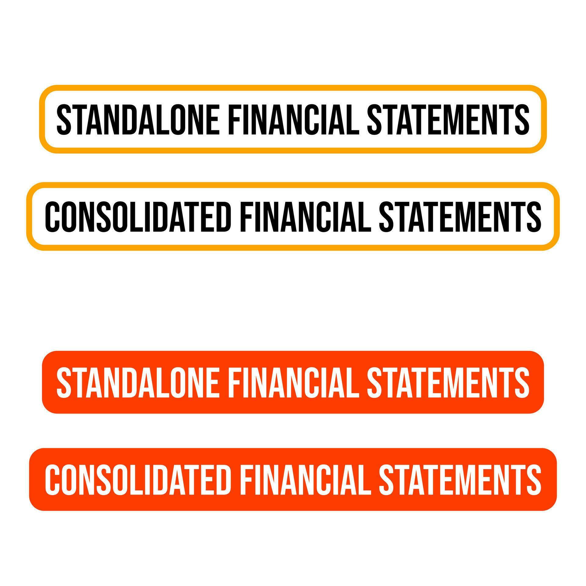 Standalone financial statements consolidated revenue business money button icon label design ...