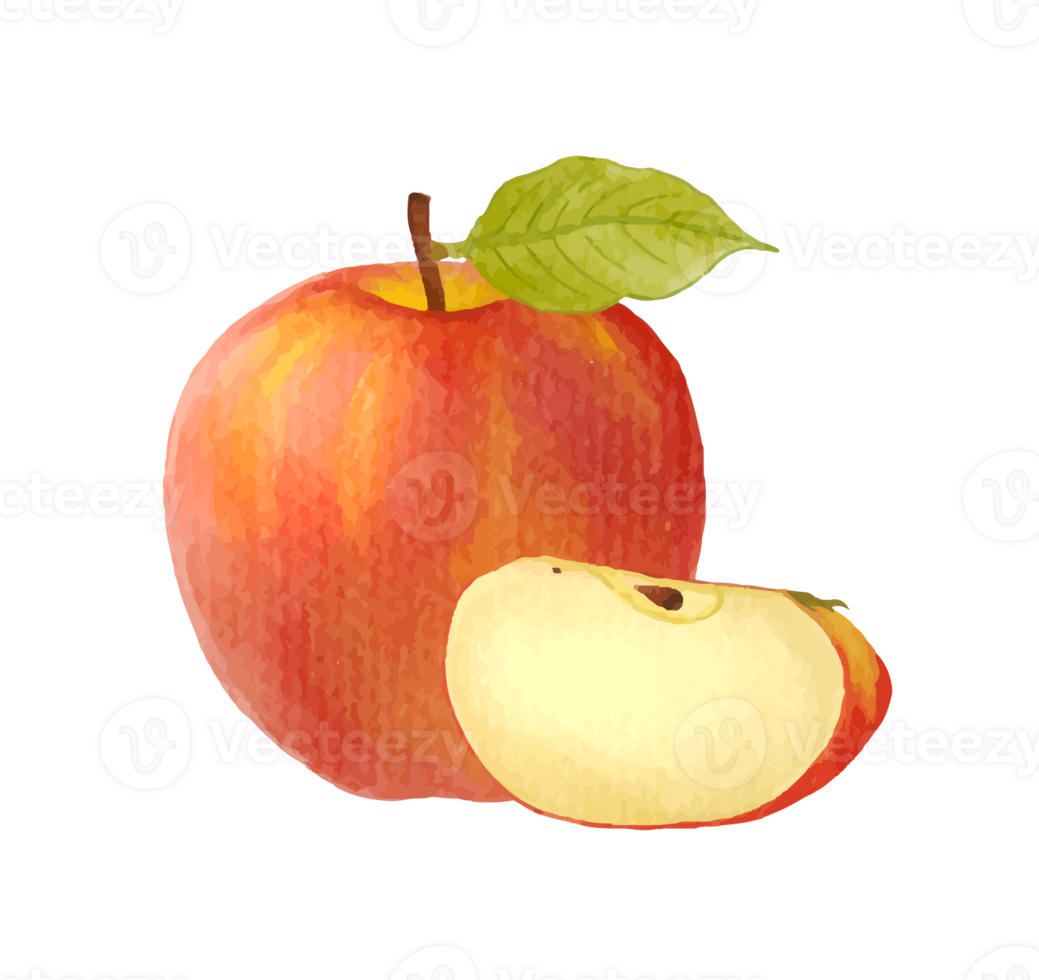 apple fruit watercolor 26495215 PNG