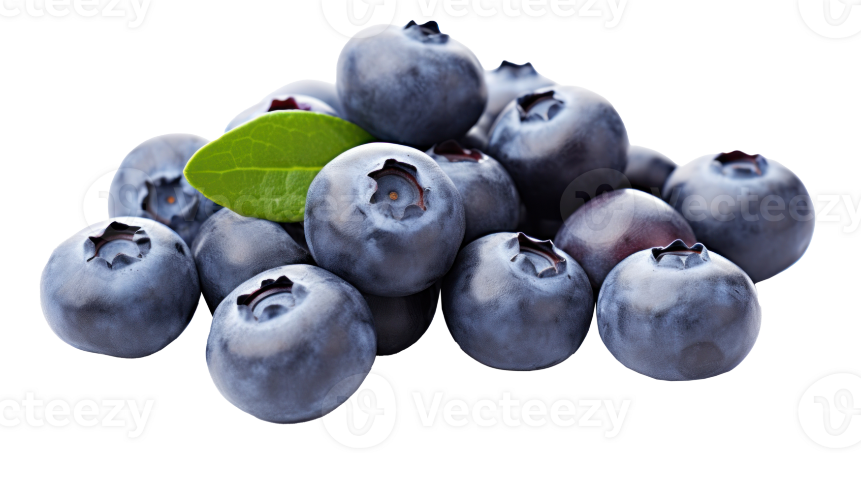 Fresh blueberry isolated 26497684 PNG Fresh blueberry isolated 26497684 PNG