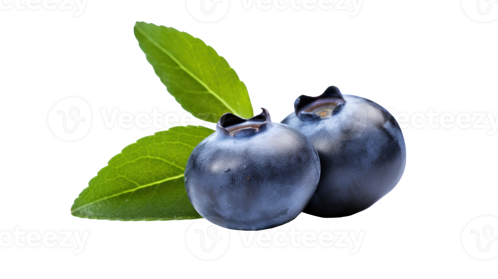 Fresh blueberry isolated 26497714 PNG Fresh blueberry isolated 26497714 PNG