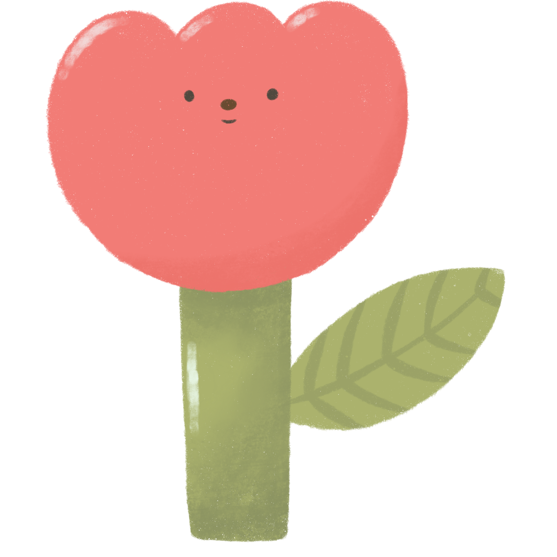 Colorful Fall Flower 26499074 PNG Colorful Fall Flower 26499074 PNG