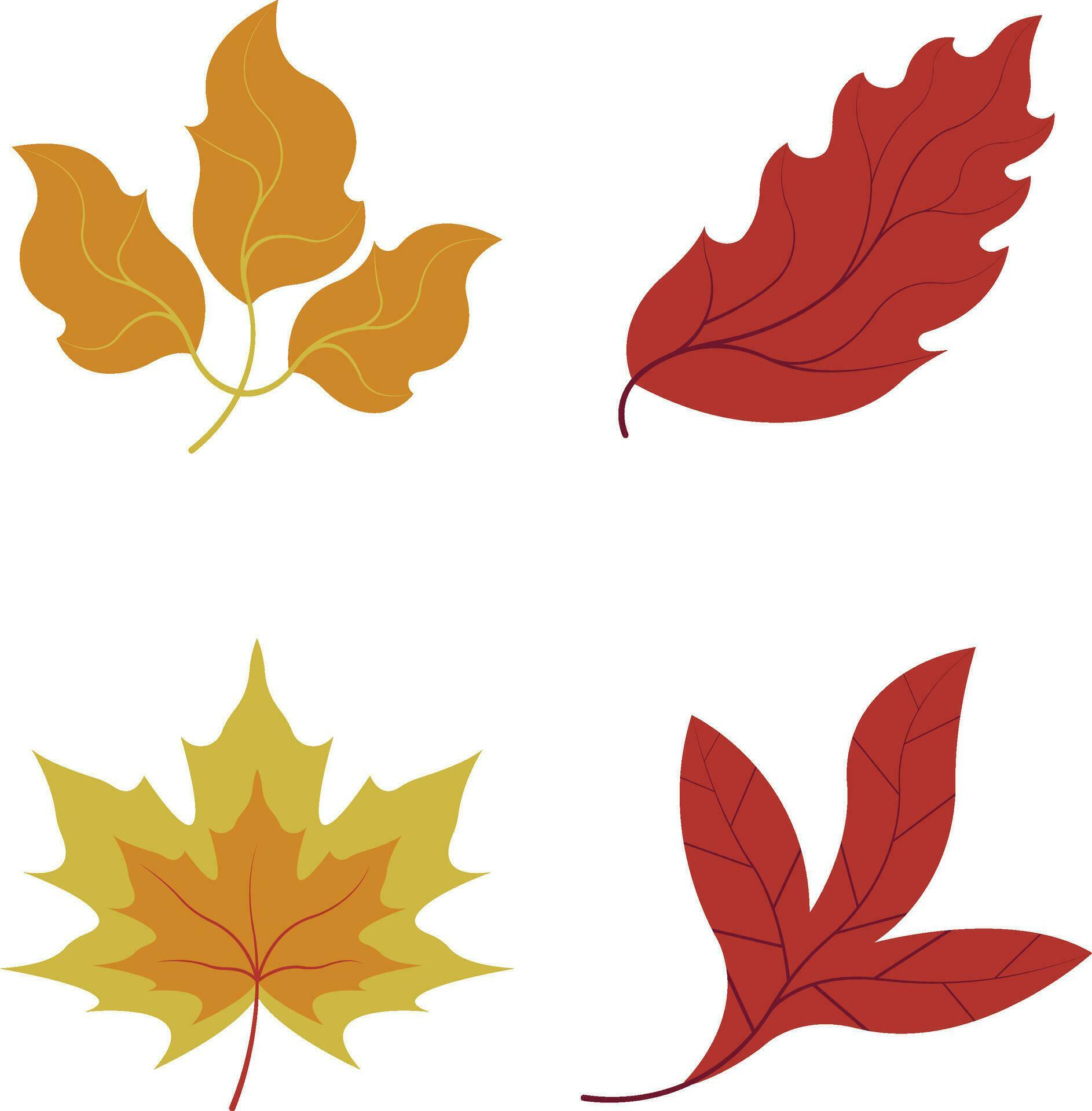 Autumn Leaves Set Isolated On White Background Simple Cartoon Flat