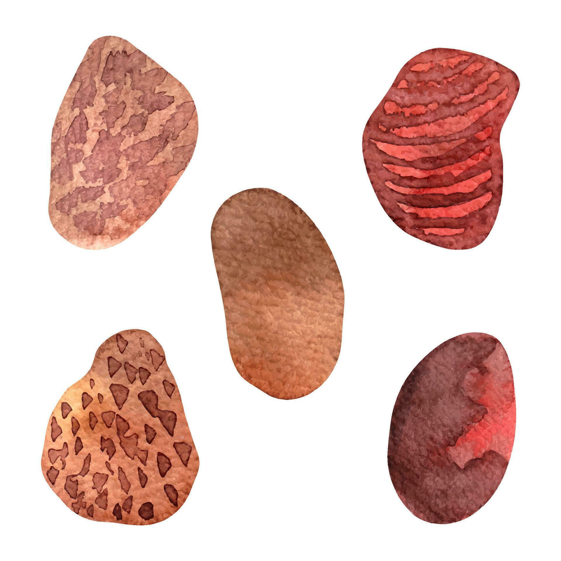 Set Of Abstract Modern Graphic Elements Dynamical Colored Forms And Linetemplate For The