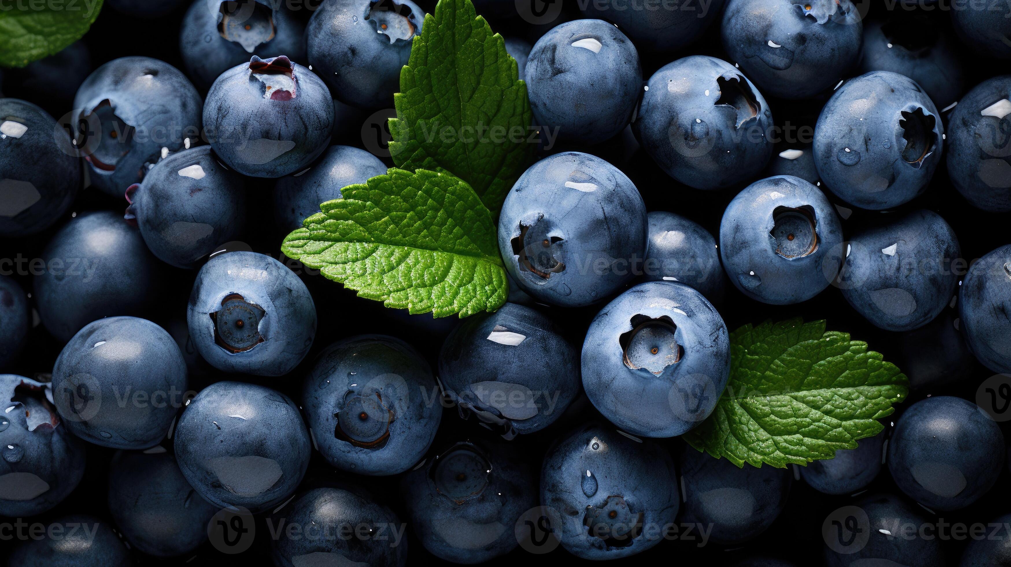 Blueberries background aesthetic 26512119 Stock Photo at Vecteezy