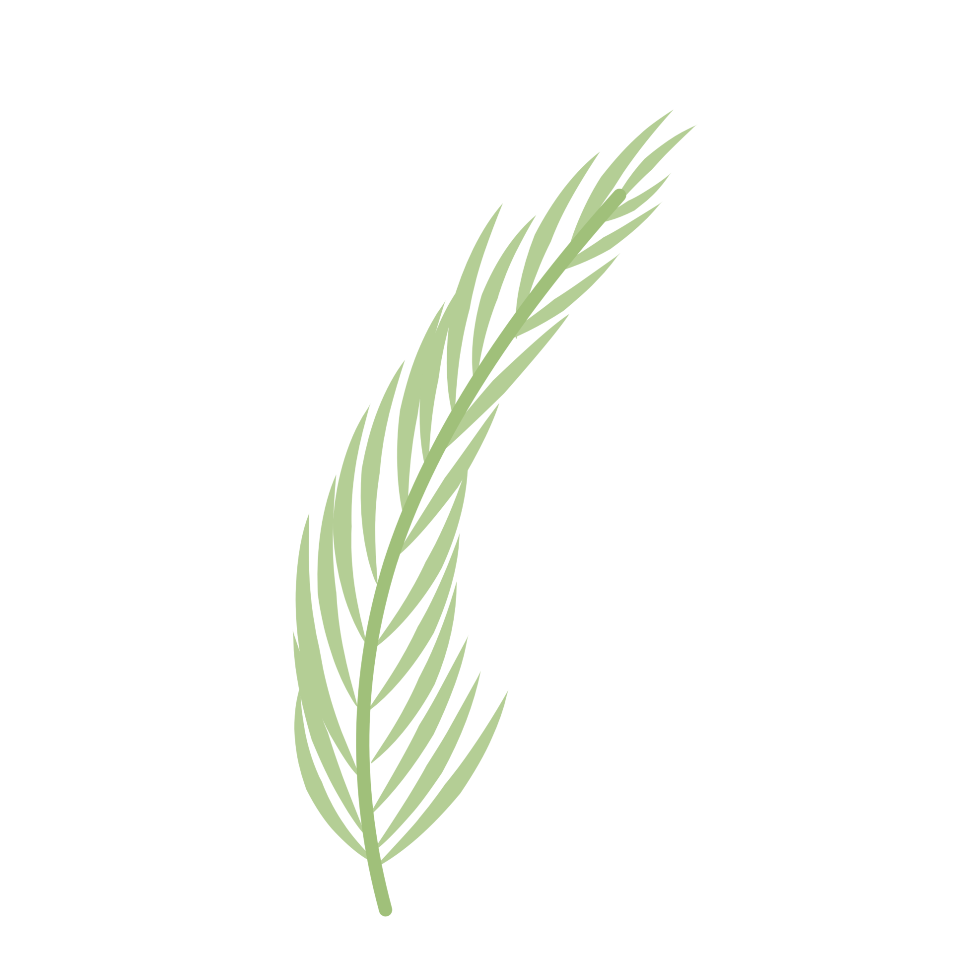 Green Palm Leaf 26547927 Png