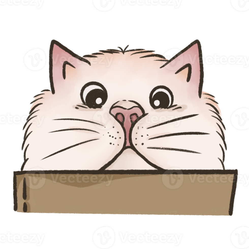 A Suspicious Cat 26552190 PNG a-suspicious-cat-26552190-png