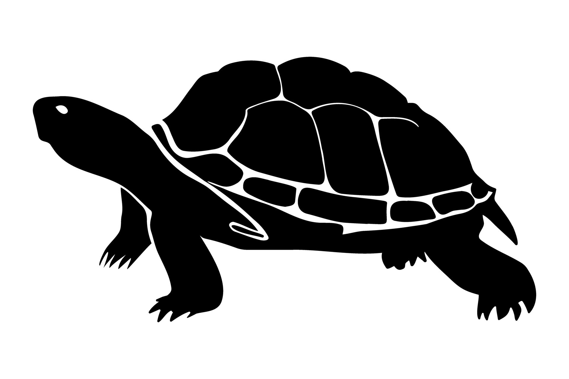 Turtle silhouette isolated. vector illustration 26562630 Vector Art at ... Turtle silhouette isolated. vector illustration 26562630 Vector Art at ...