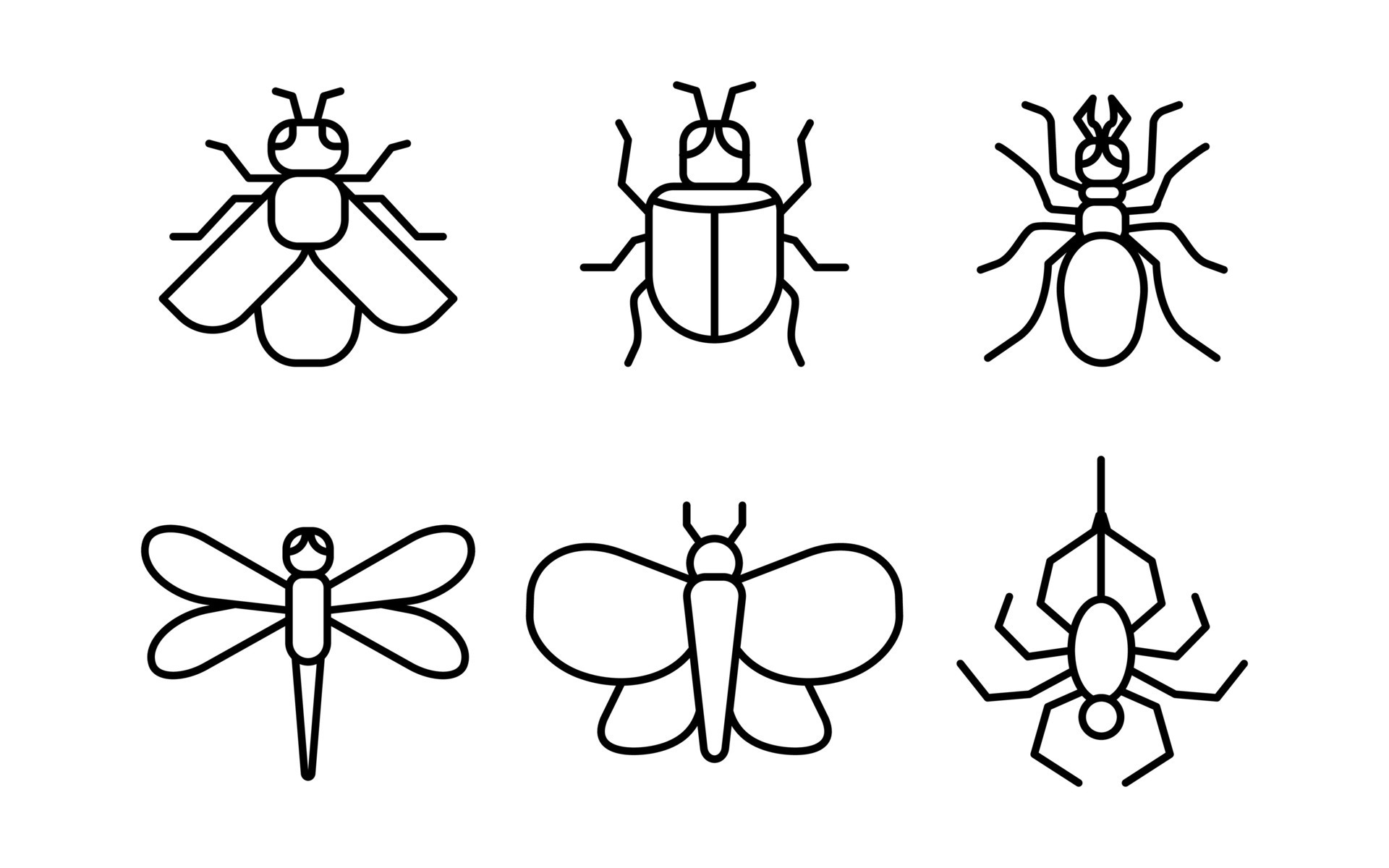 A collection of simple insect line icons. Insect line art design ...
