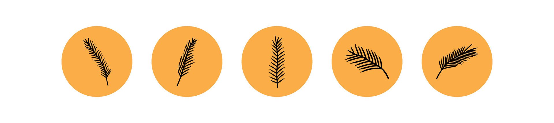 Palm leaves set 26589943 Vector Art at Vecteezy Palm leaves set 26589943 Vector Art at Vecteezy