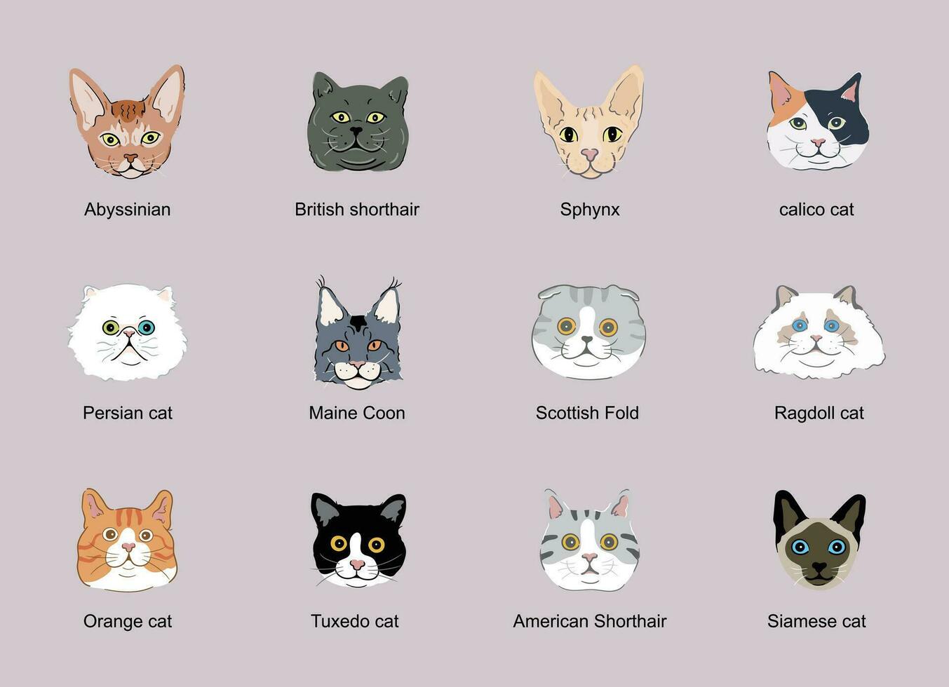 Cat Face Head Set Cat Breeds Portraits Collection Isolated 26618978