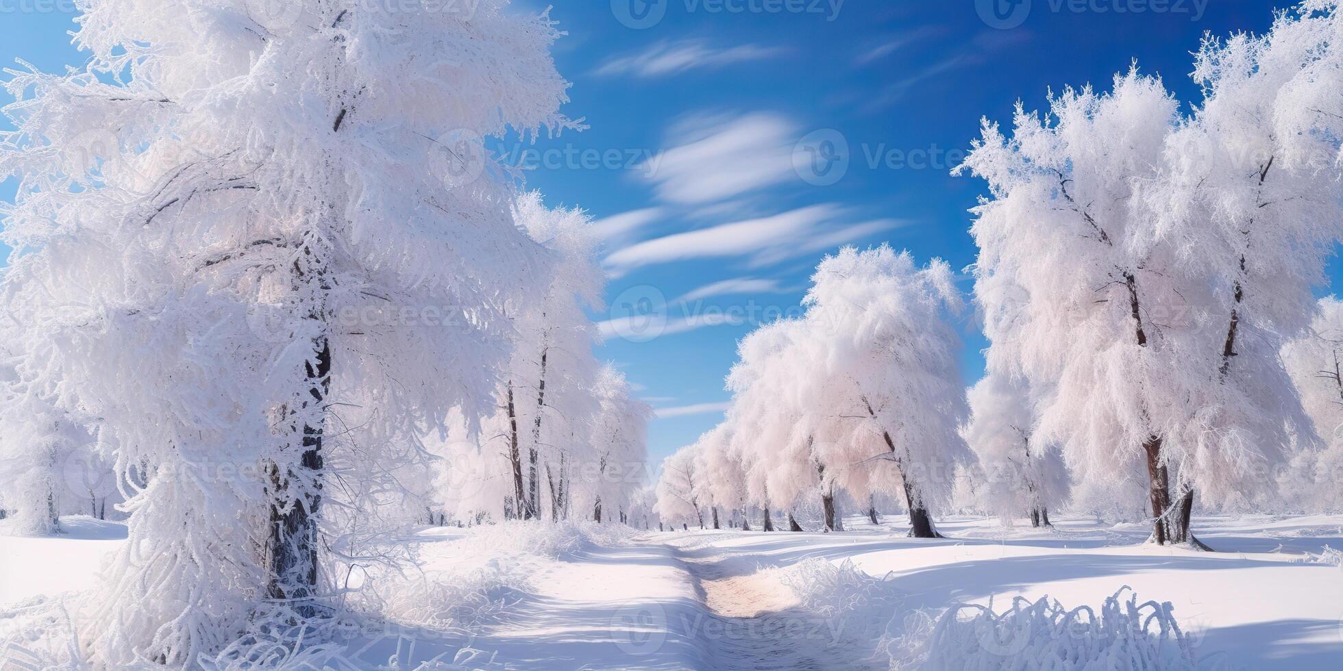 Winter forest tree winter snow garden park landscape. Graphic Art ...
