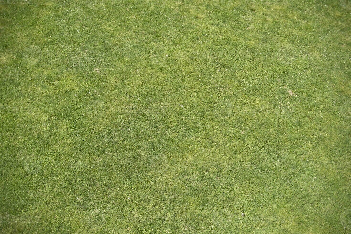Top grass store