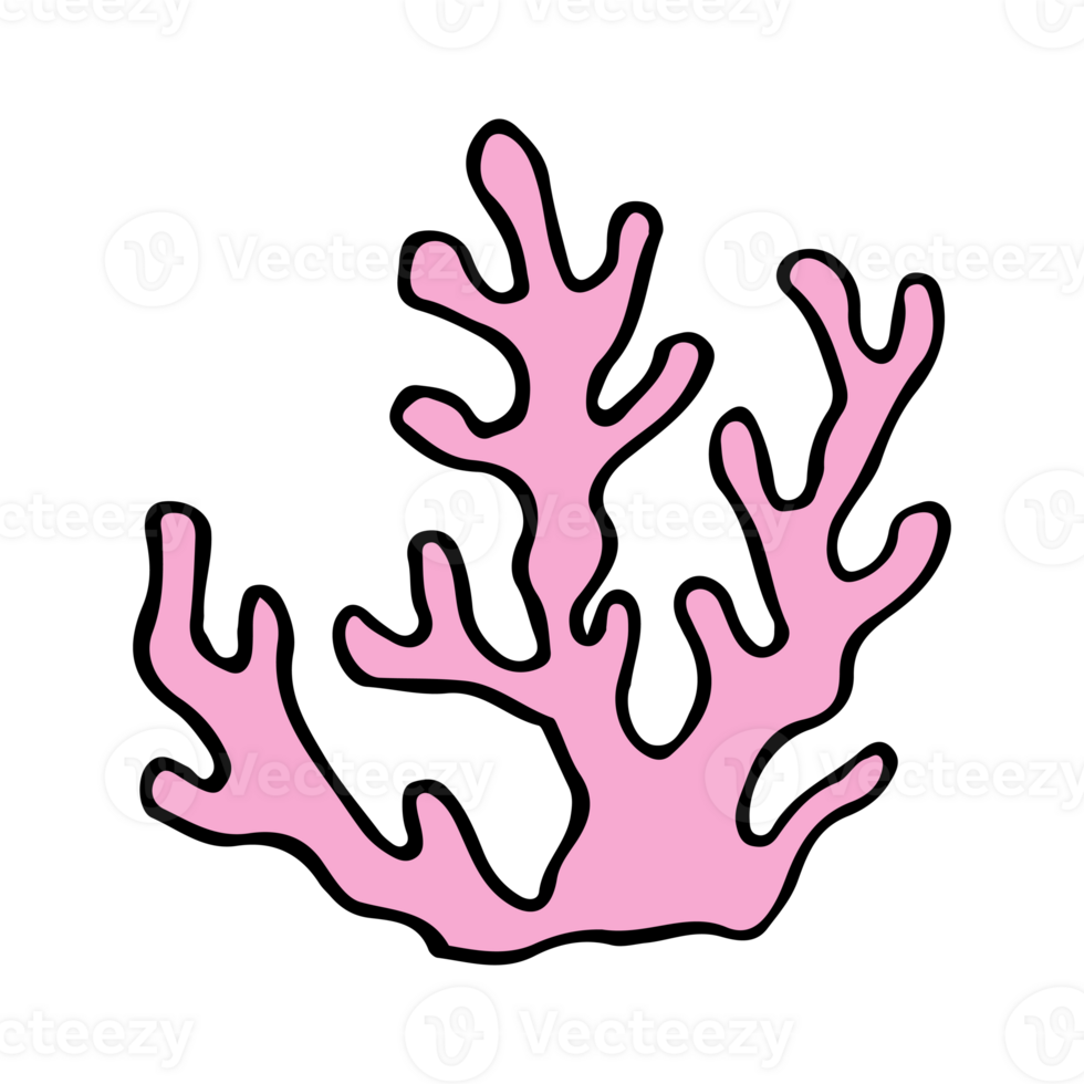 Coral Reef Illustration 26684943 Png