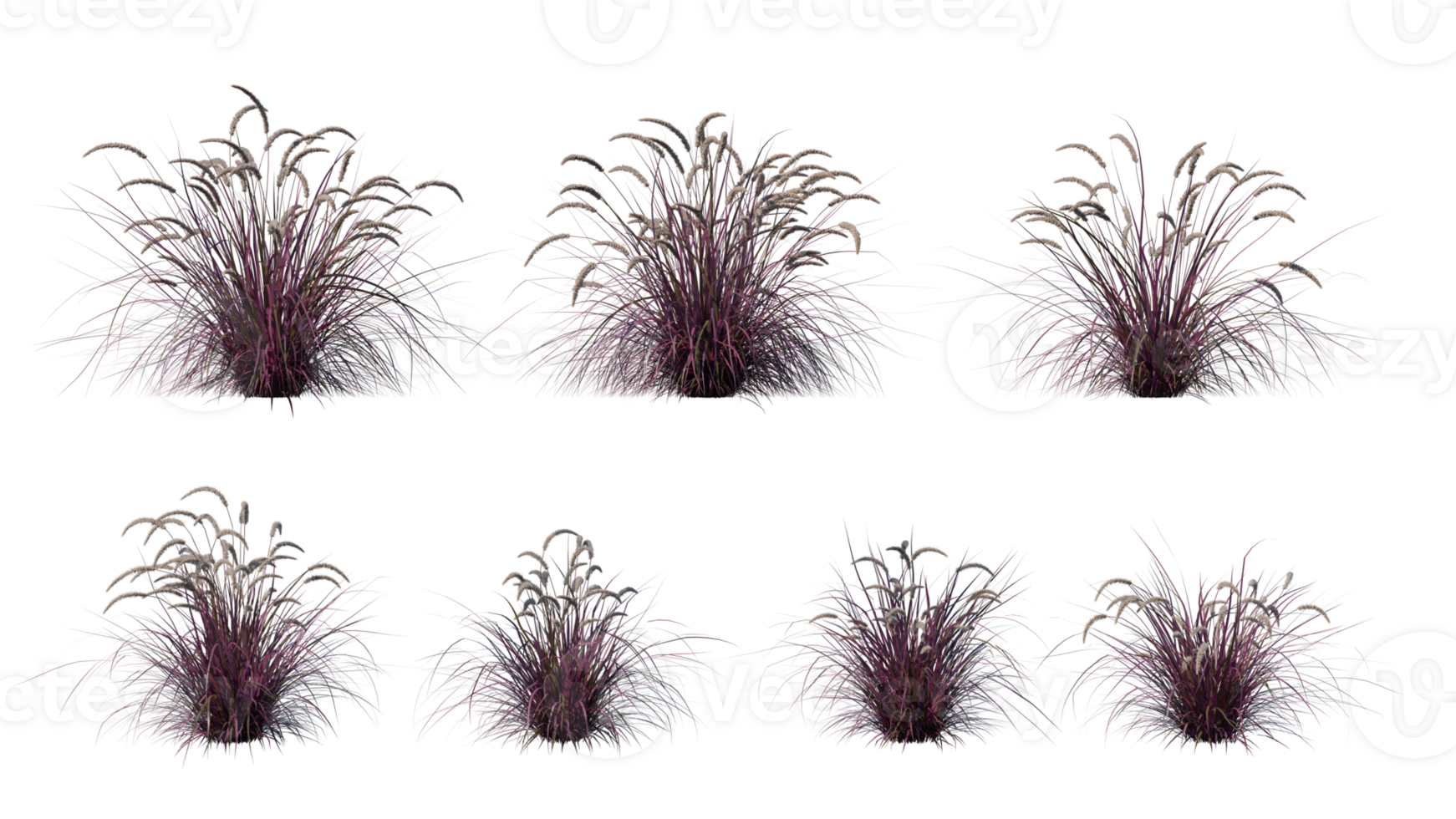 Beautiful Grass And Flowers For Illustration 26691161 Png