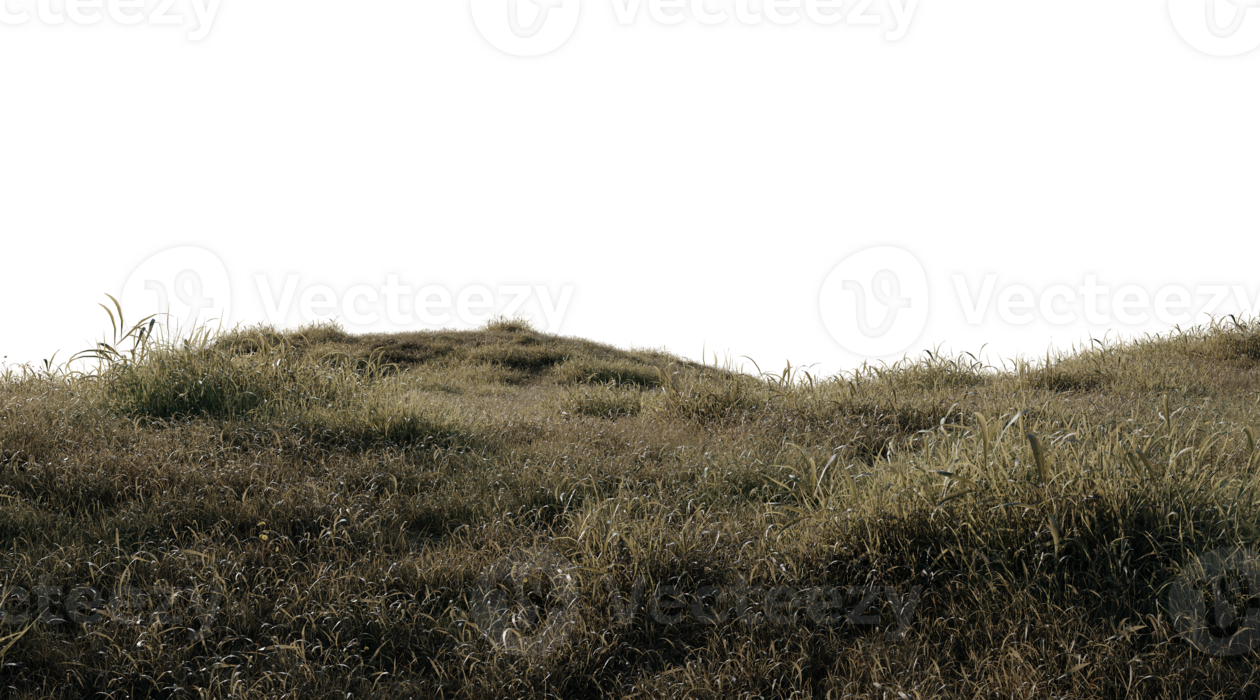 Beautiful Landscape Of Dry Grass 26691275 Png