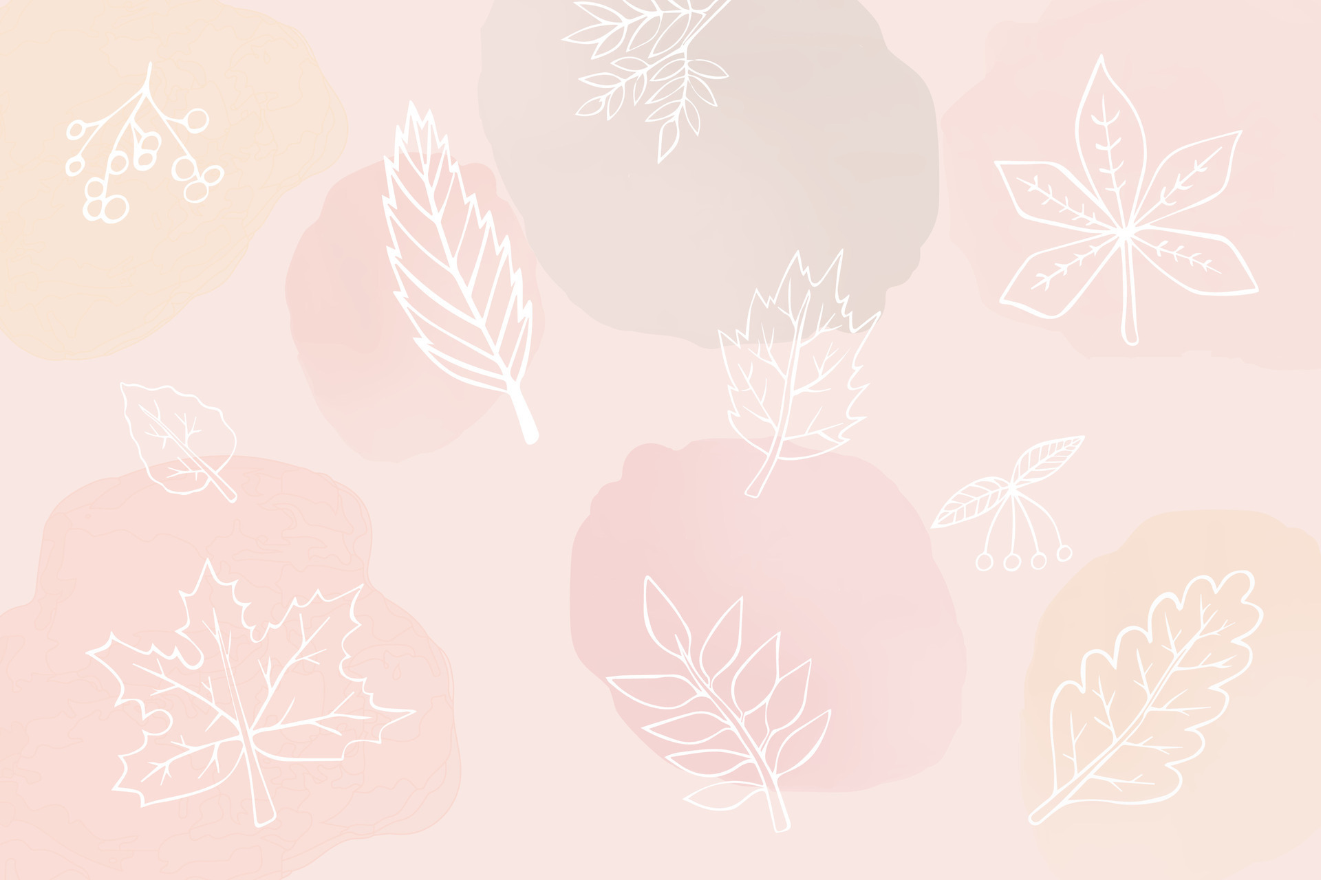 Delicate autumn background with leaves, autumn wallpaper with white ...