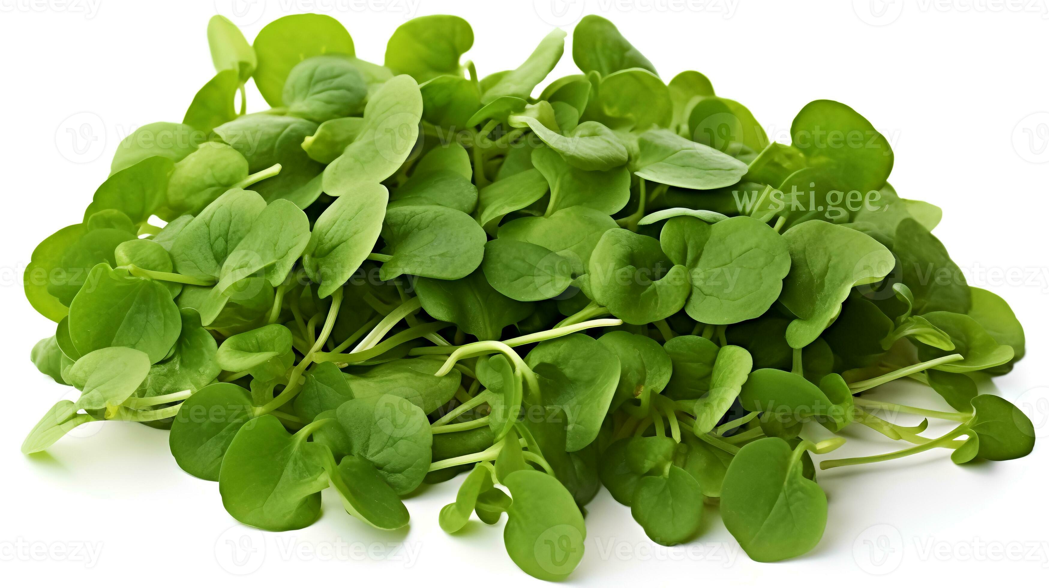 Photo of Watercress isolated on white background 26741782 Stock Photo at Vecteezy