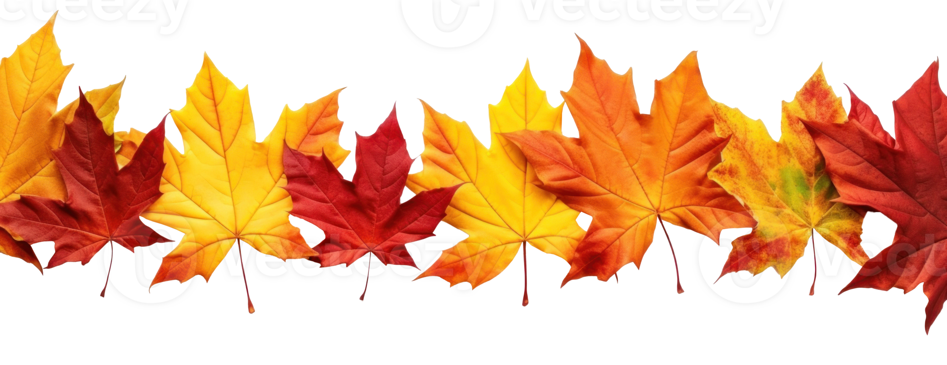Autumn leaves border isolated 26748763 PNG