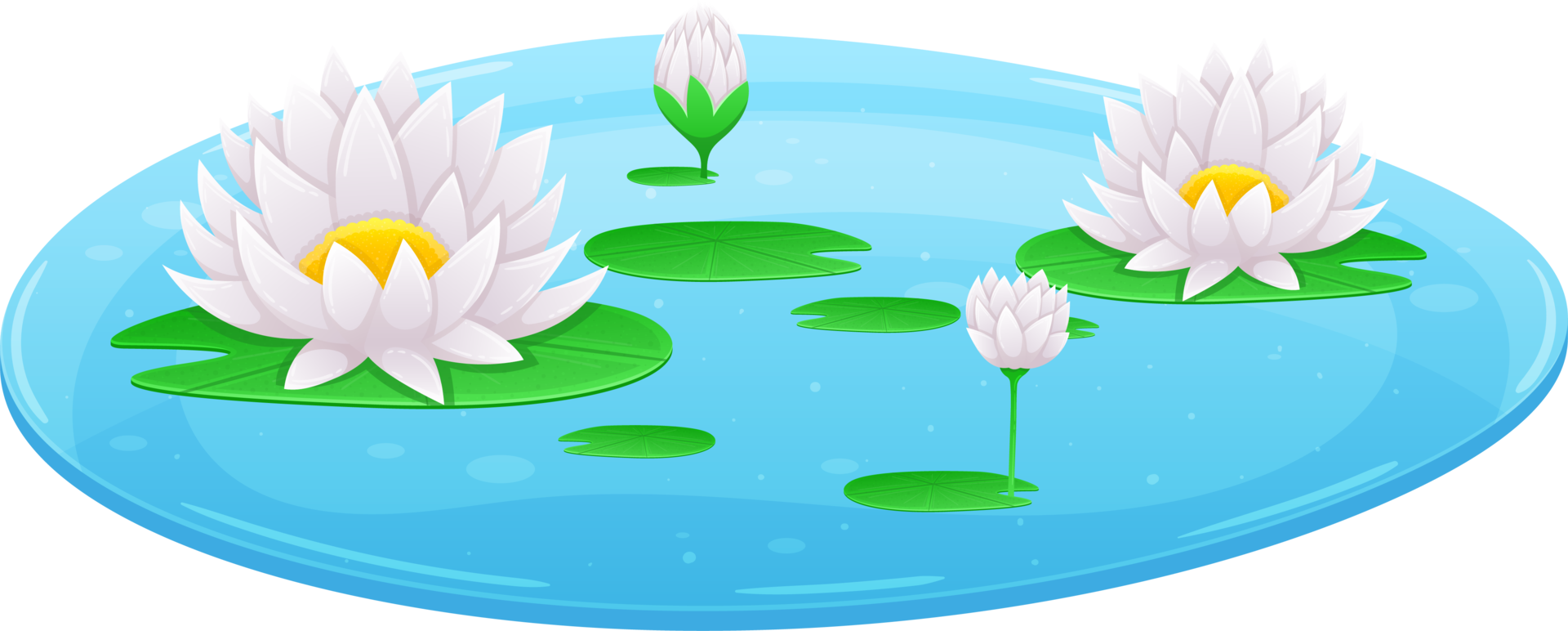 Water Lily Clipart 26749372 Png