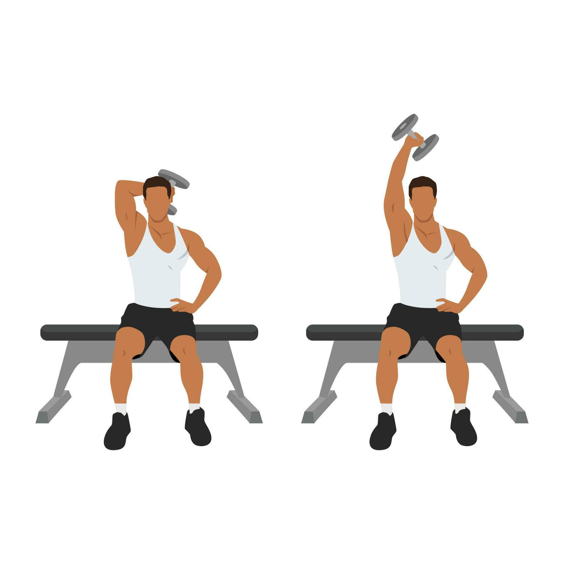 Man doing Seated Single arm overhead dumbbell tricep extensions exercise. 26751838 Vector Art at ...