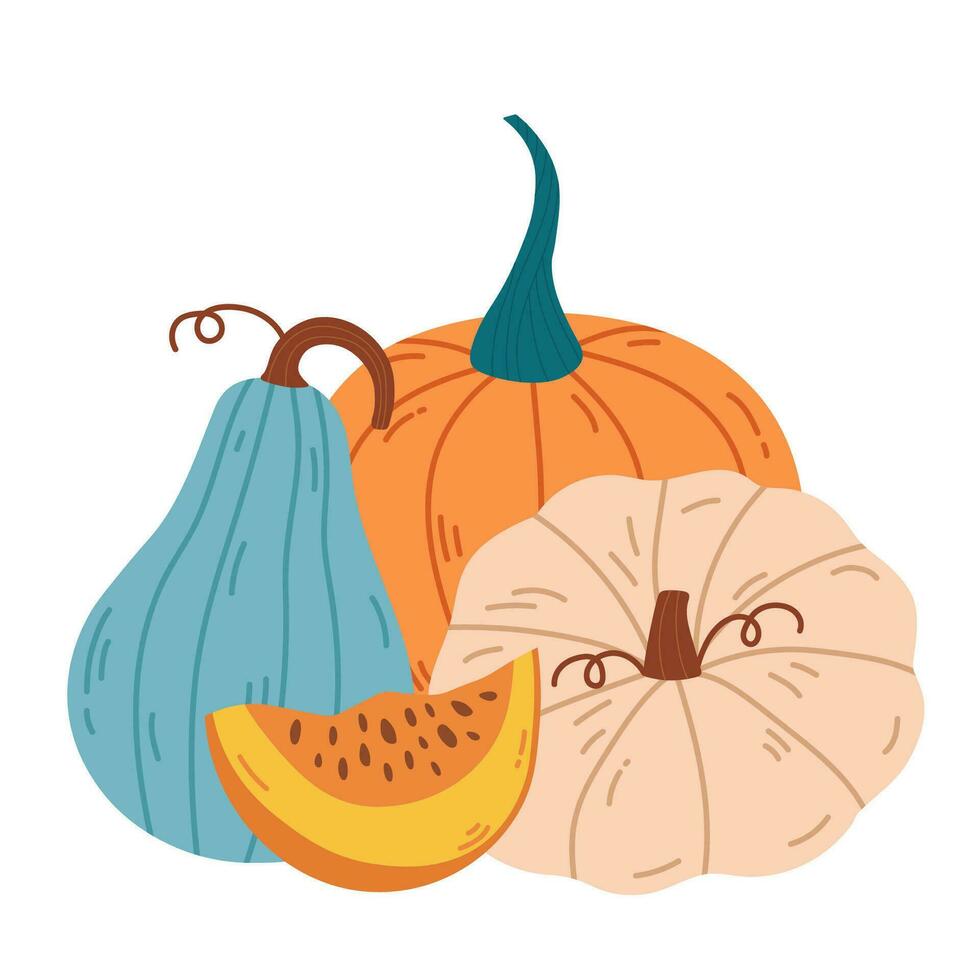 Autumn vegetable composition with pumpkin of various shapes and colors ...