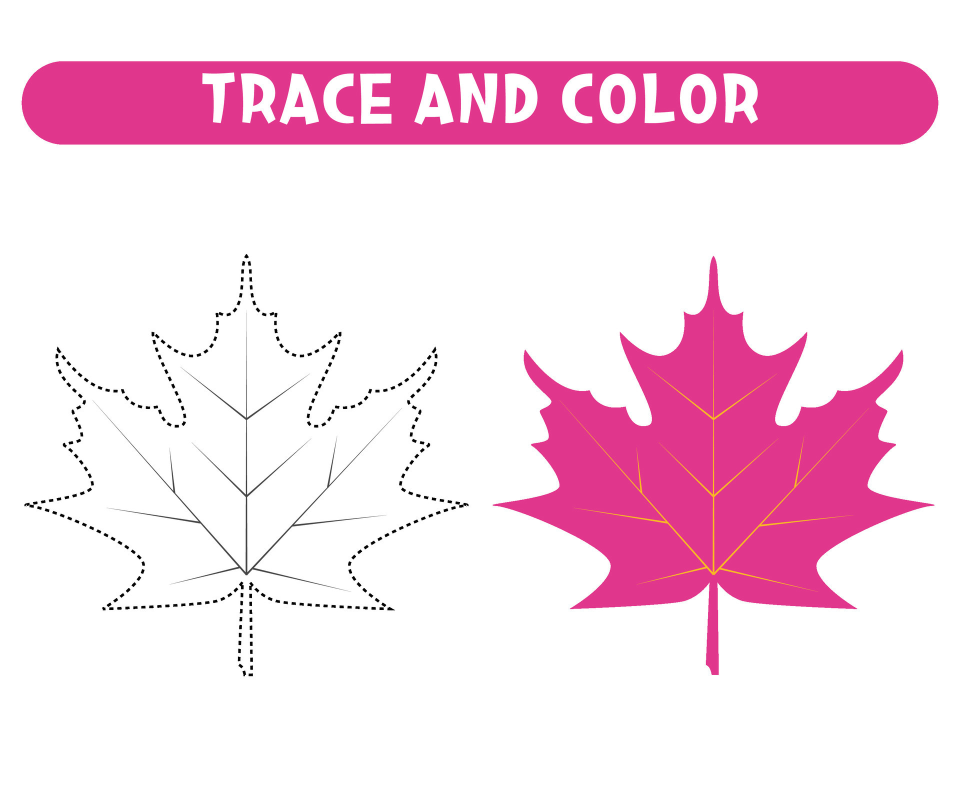 Trace and color pink autumn leaf. Worksheet for kids 26768870 Vector ...