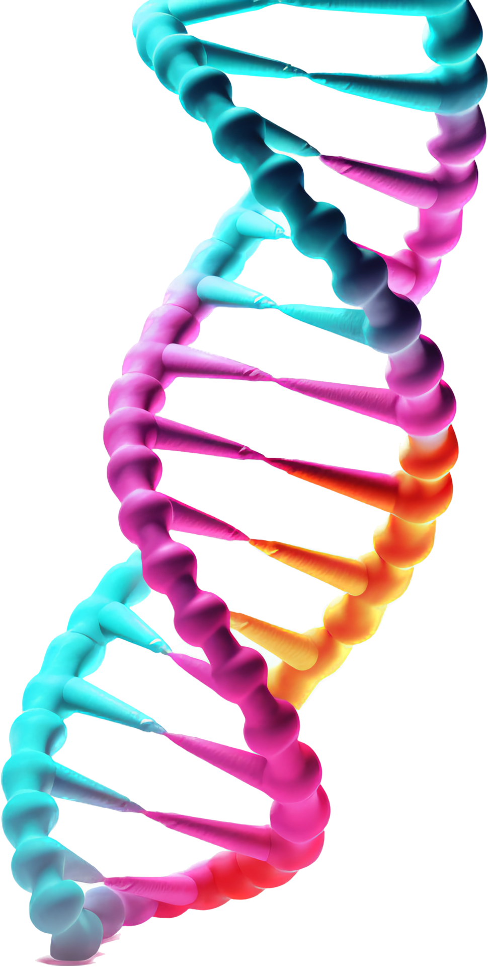 DNA PNG