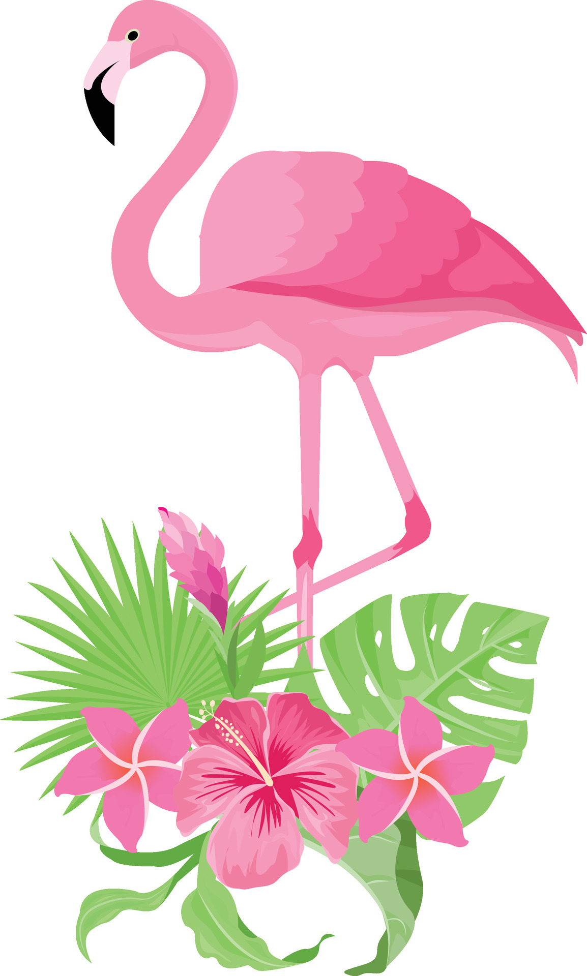 summer design with tropical leaves and flamingo bird 26784581 Vector ...