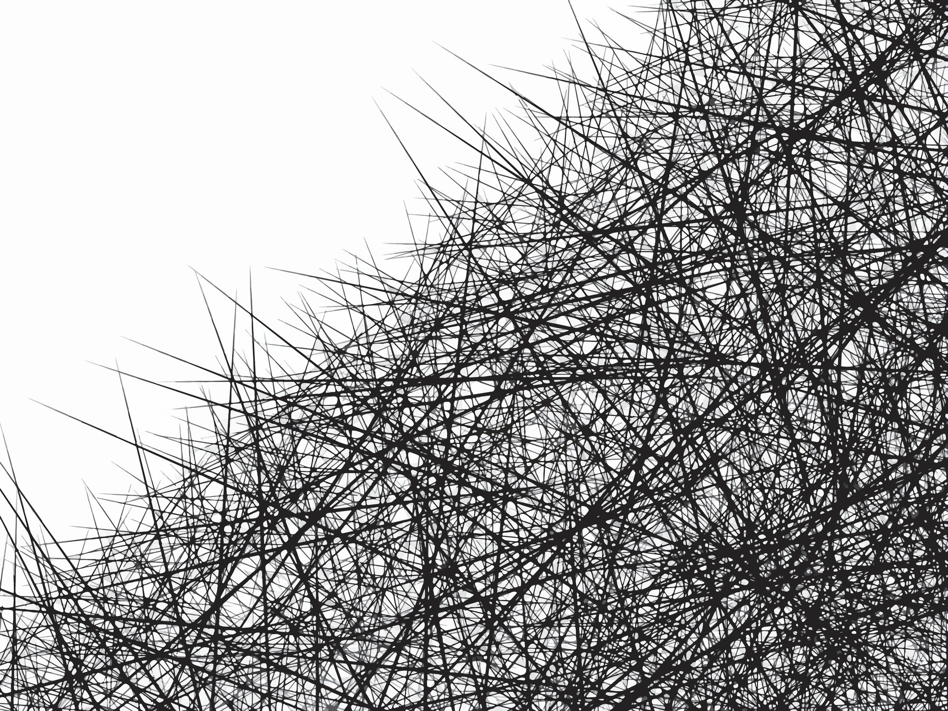 Messy Tangled Abstract Sharp Dark Lines Vector Background Isolated On