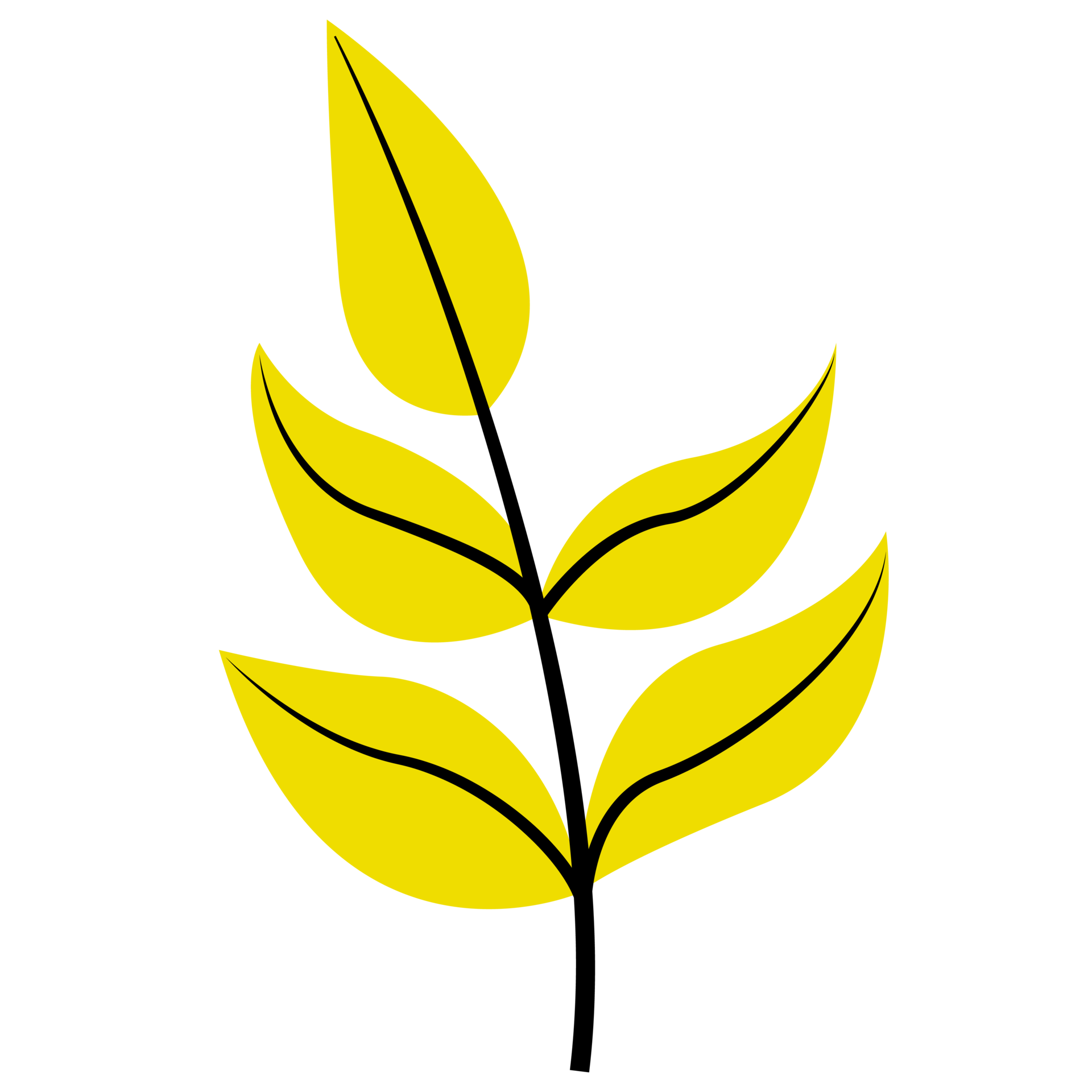 Yellow Autumn Leaf 26790682 PNG Yellow Autumn Leaf 26790682 PNG