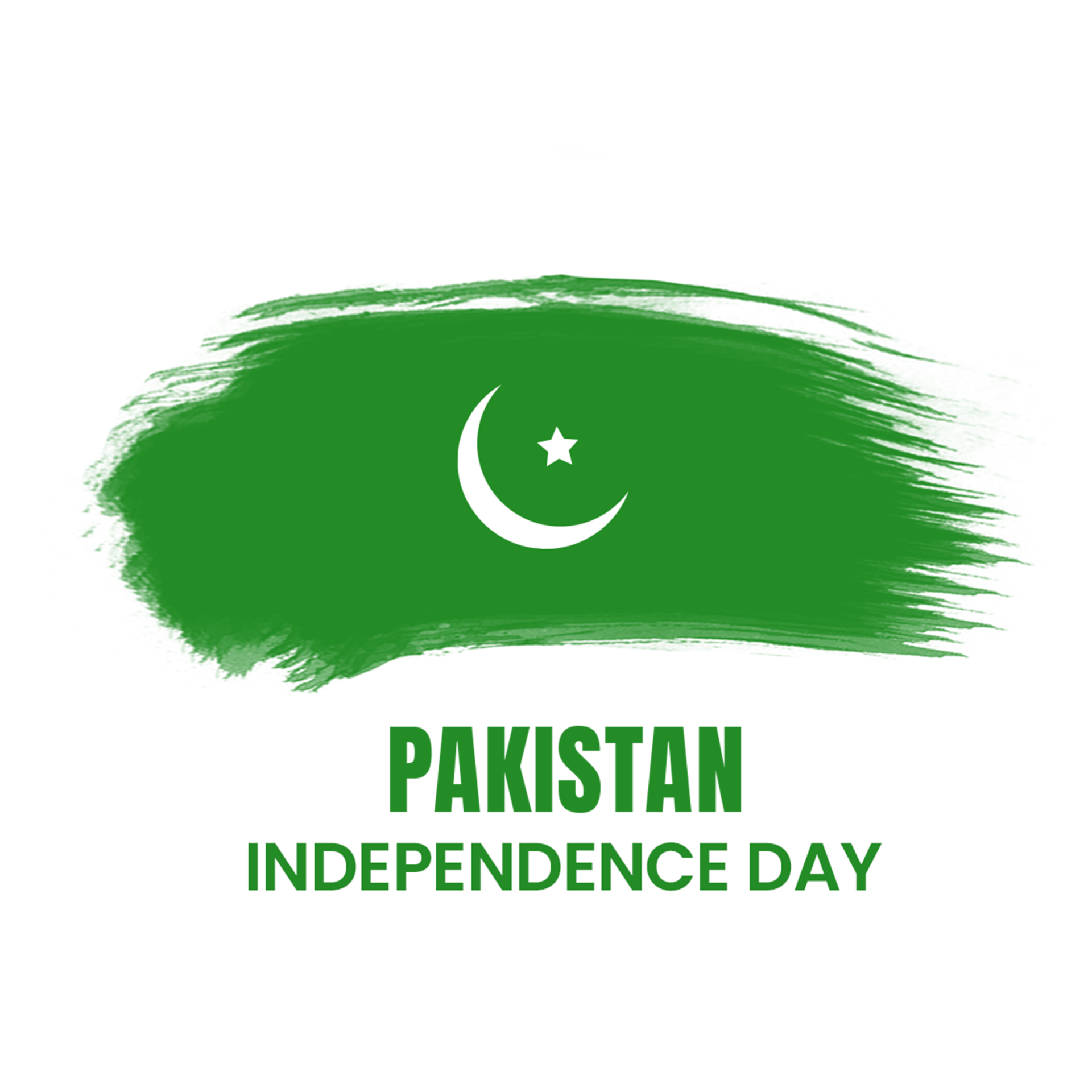 Pakistan Independence Day 26795303 PNG pakistan-independence-day-26795303-png