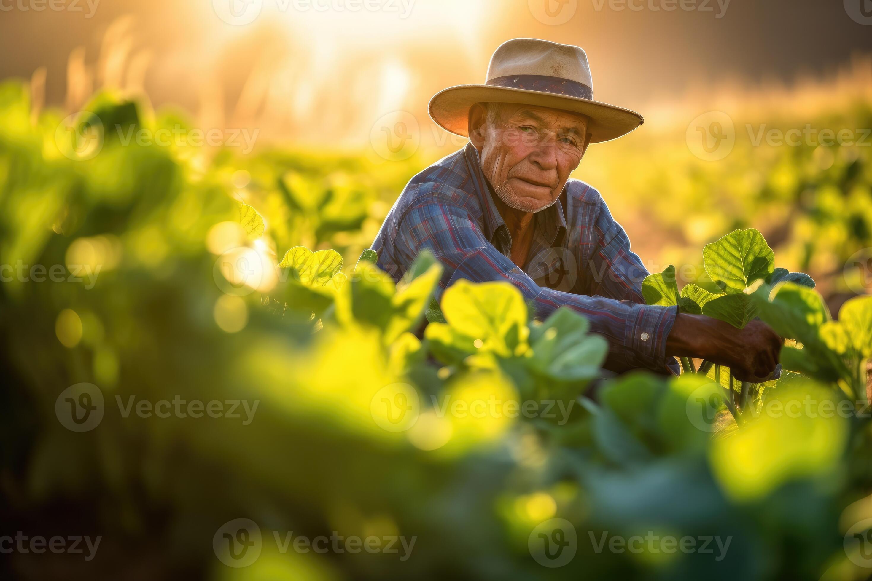 Photo Of A Hardworking Farm Laborer In A Sunlit Field Tending To The Crops Generative Ai