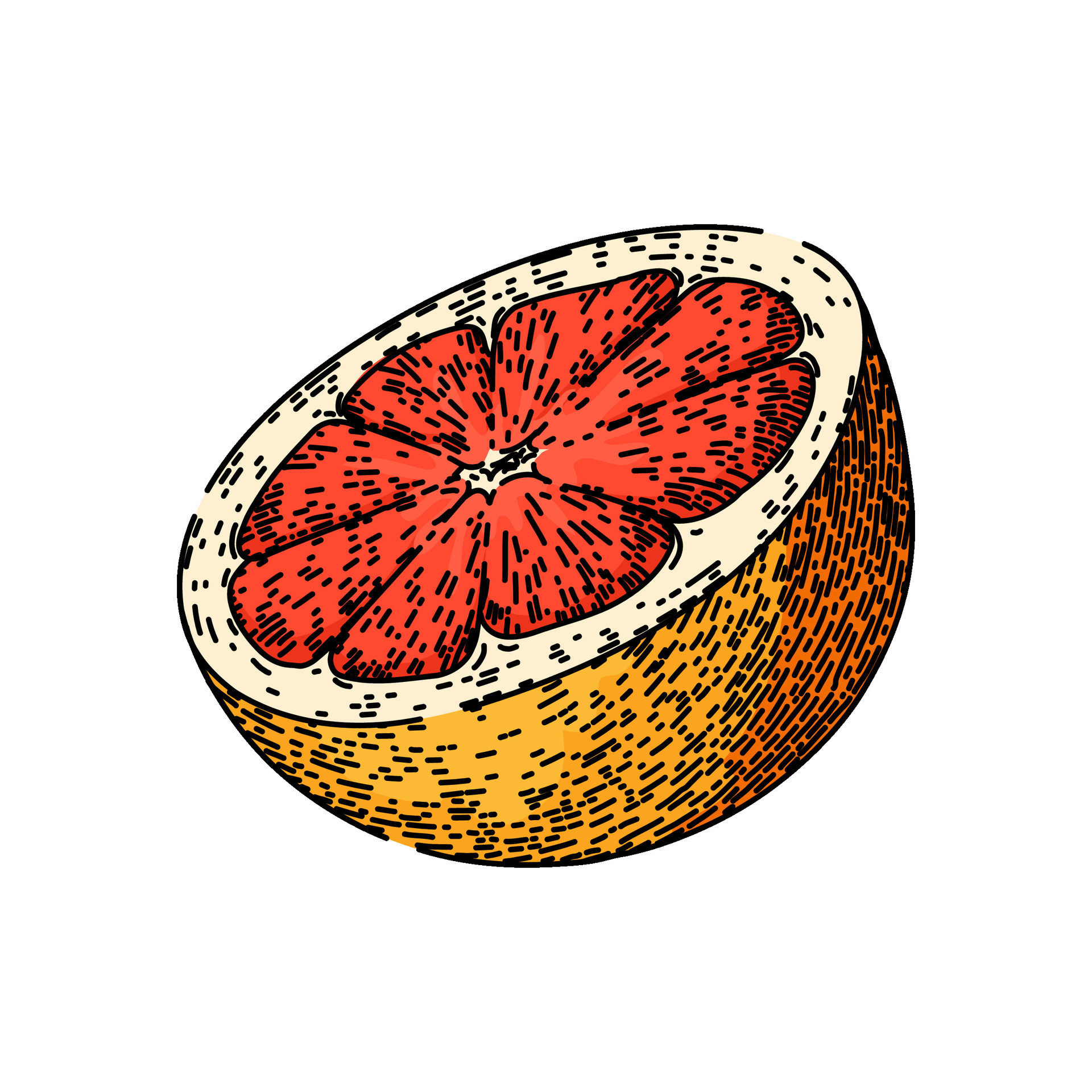 slice grapefruit red sketch hand drawn vector 26826192 Vector Art at ... slice grapefruit red sketch hand drawn vector 26826192 Vector Art at ...
