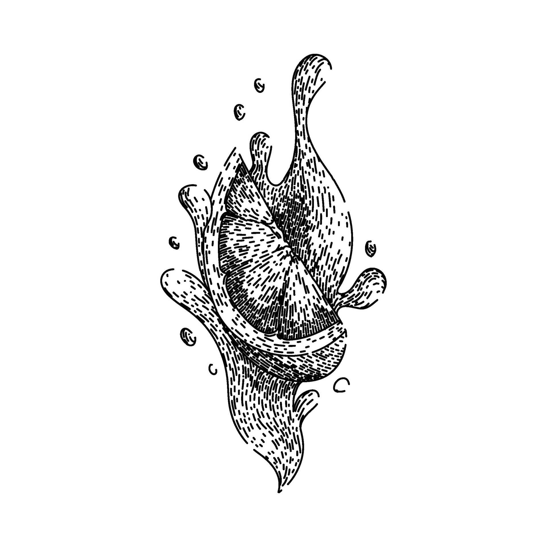 top grapefruit red sketch hand drawn vector 26826197 Vector Art at Vecteezy top grapefruit red sketch hand drawn vector 26826197 Vector Art at Vecteezy