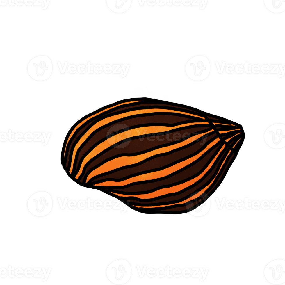 Colorful Sea Shell 26827952 Png