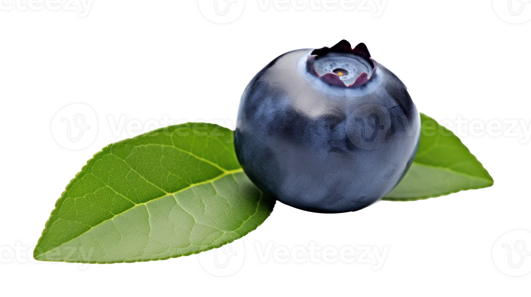 Fresh blueberry isolated 26847752 PNG Fresh blueberry isolated 26847752 PNG