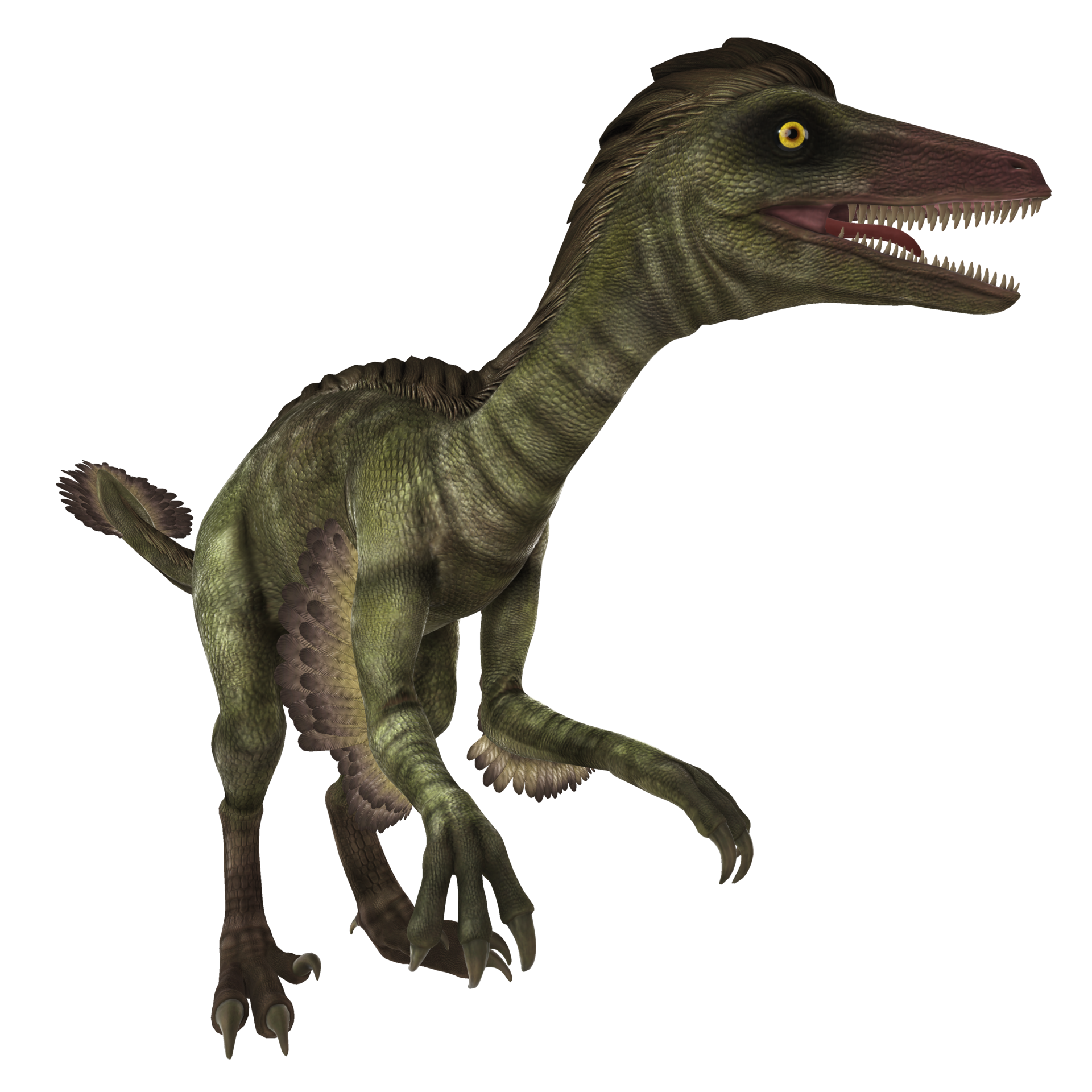 Troodon is a carnivorous dinosaur genus, Troodon is like a bird and lived in the Cretaceous ...